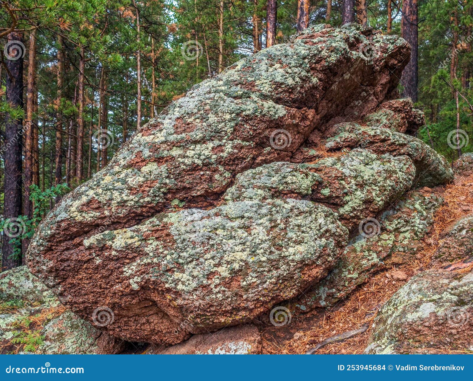 Stones Formation in the Forest. Erosion of Rocks Stock Photo - Image of ...