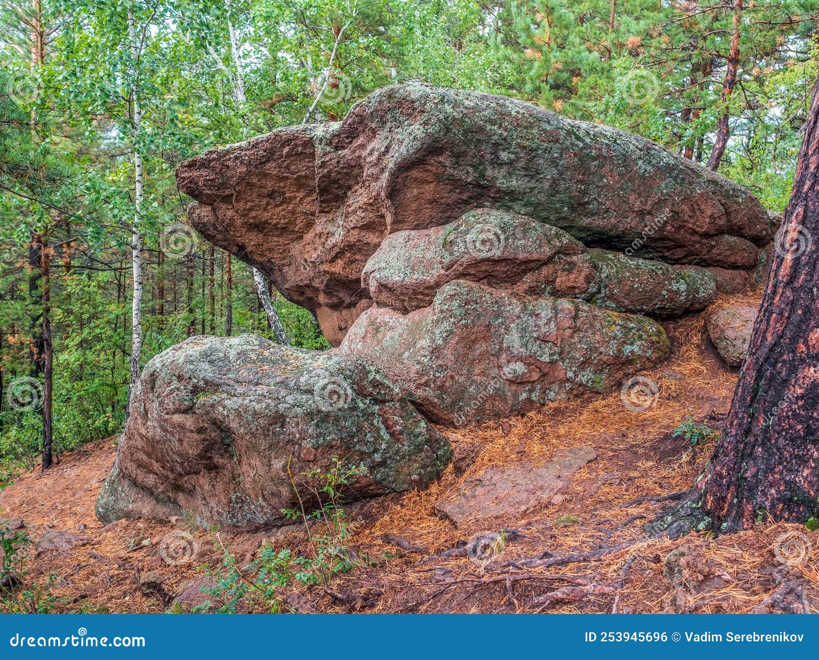 Stones Formation in the Forest. Erosion of Rocks Stock Photo - Image of ...