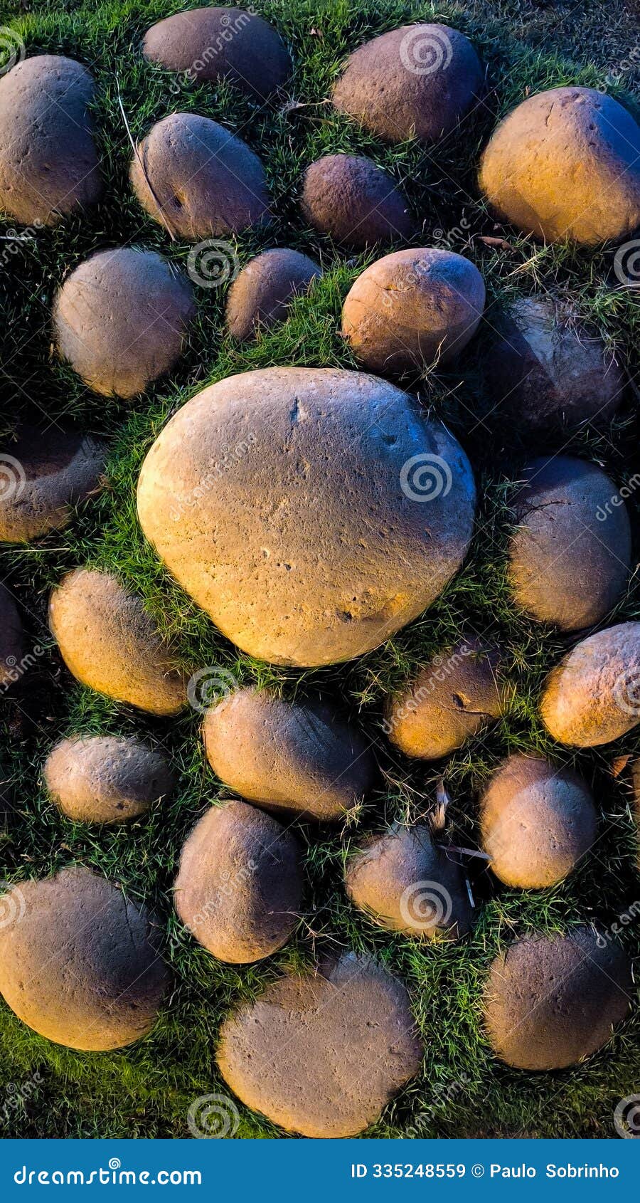 Stones in the Grass in a Landscape Project Stock Image - Image of ...