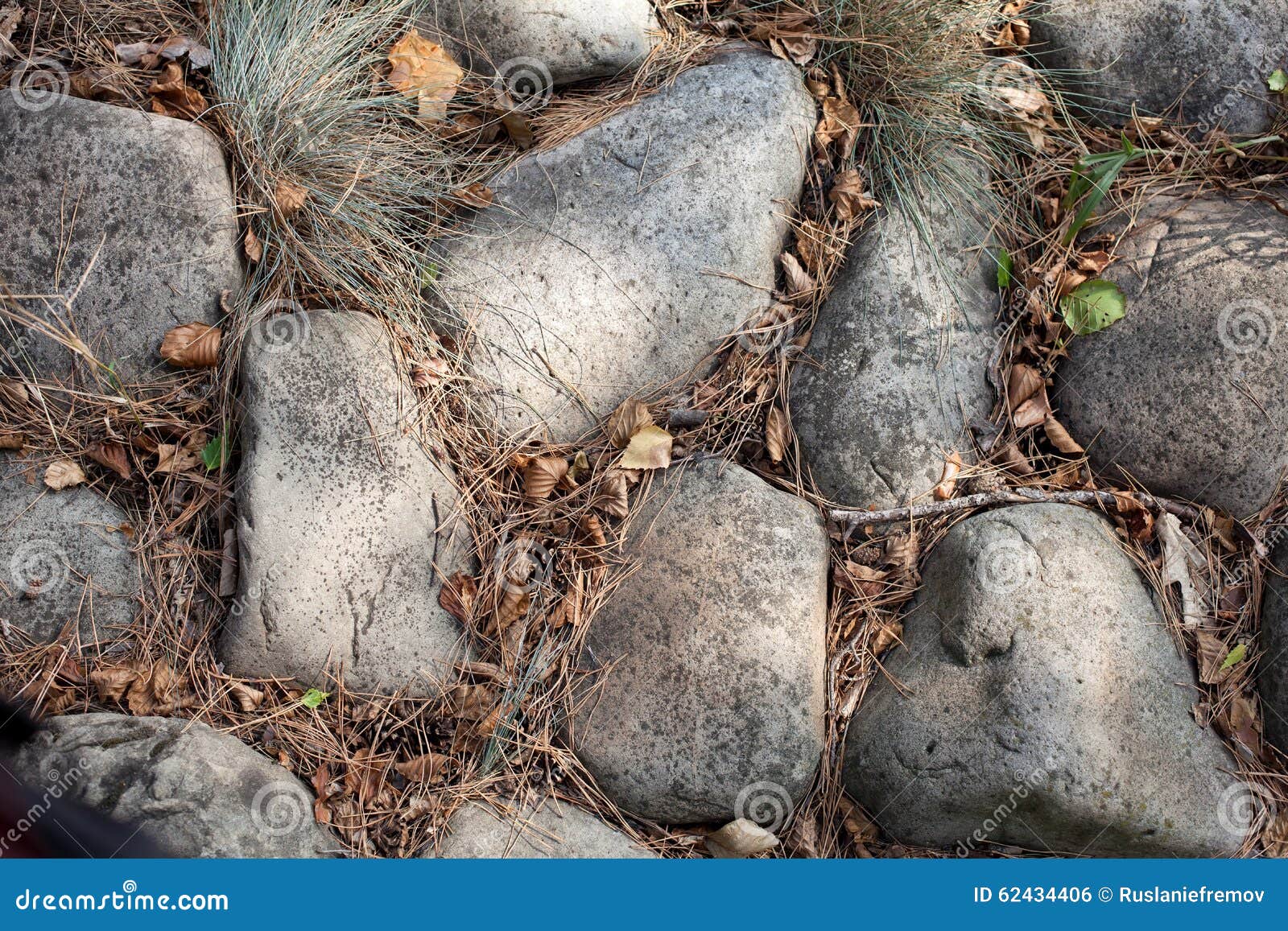 Stones and Grass Texture Background Stock Photo - Image of abstract ...