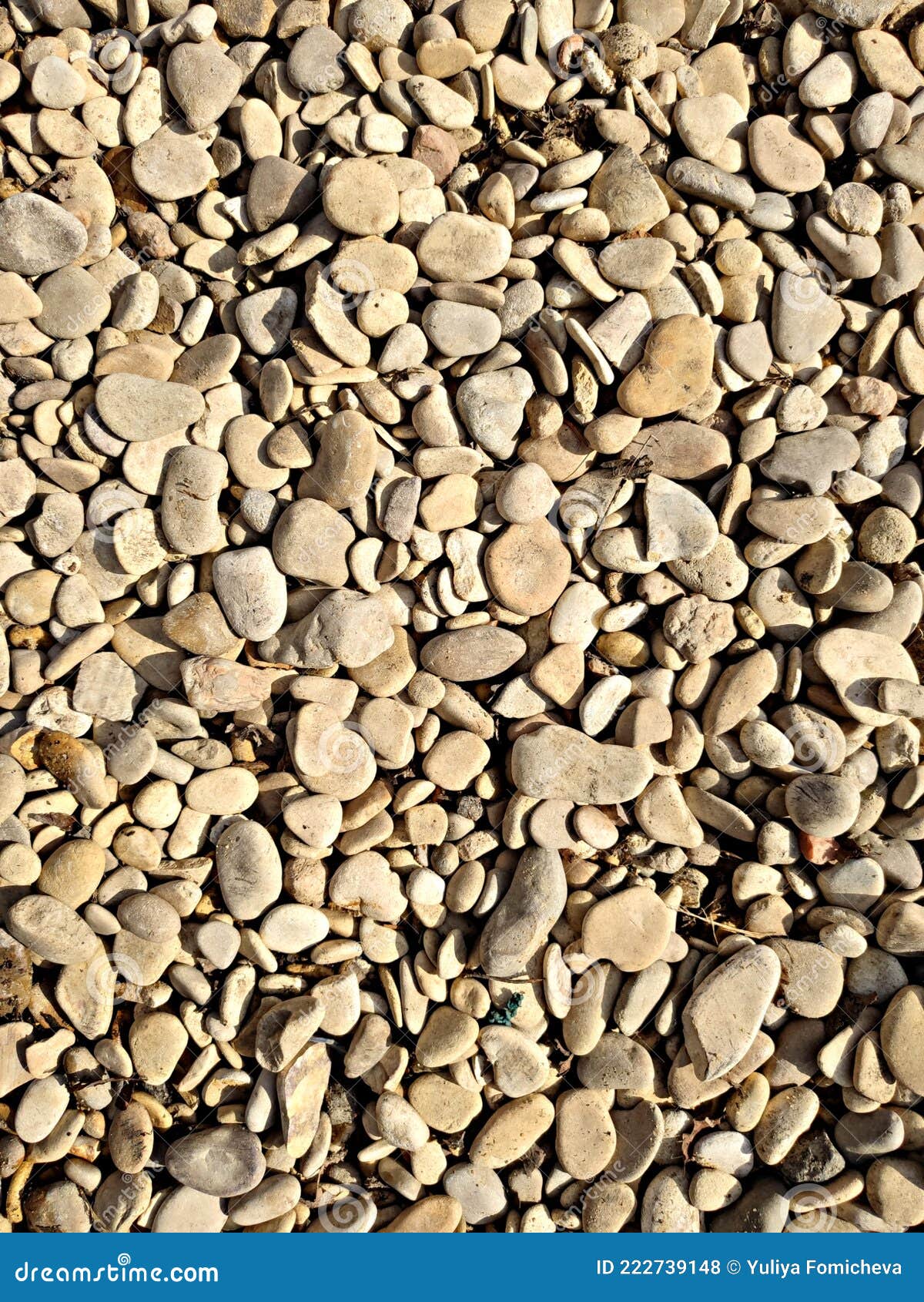 Stones on the ground stock photo. Image of wood, cobblestone - 222739148