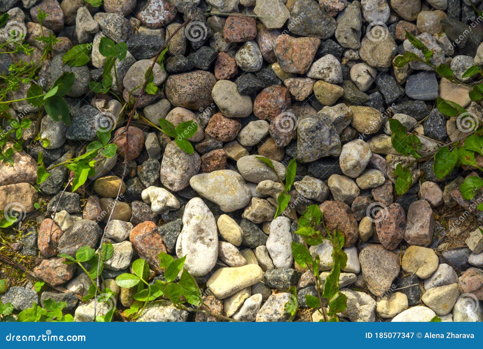 Stones on the Ground. Background of Stones Stock Image - Image of ...