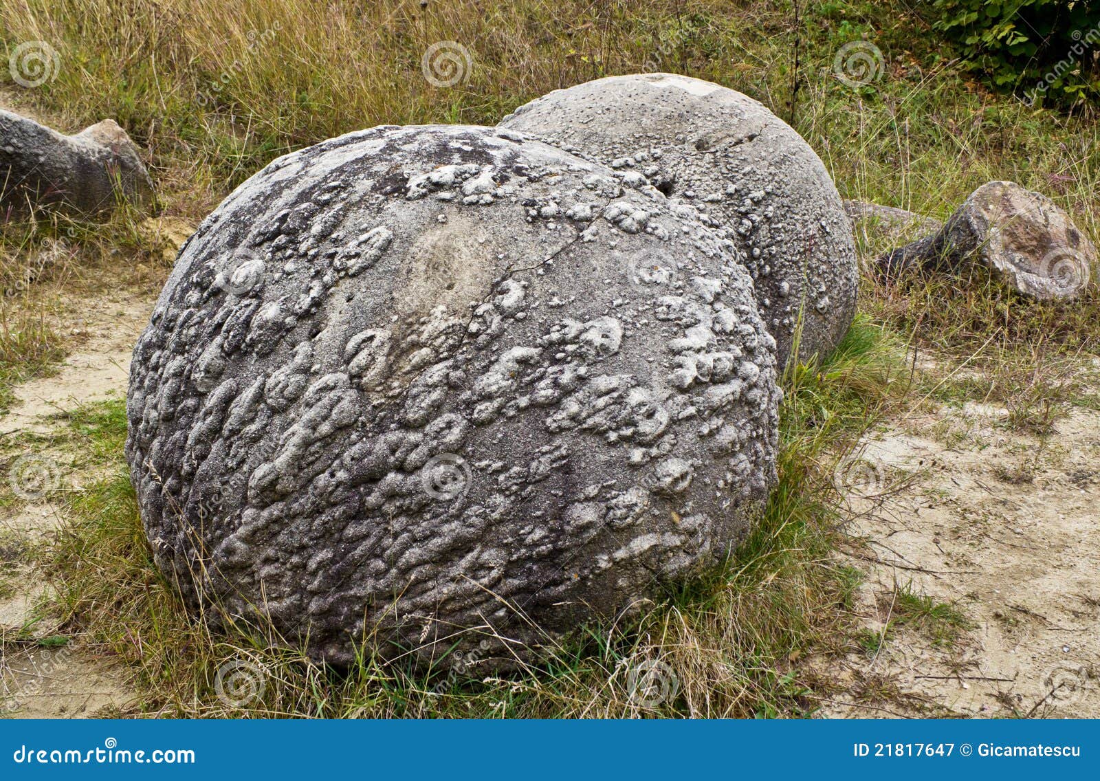 Stones that grow stock image. Image of detail, detritic - 21817647