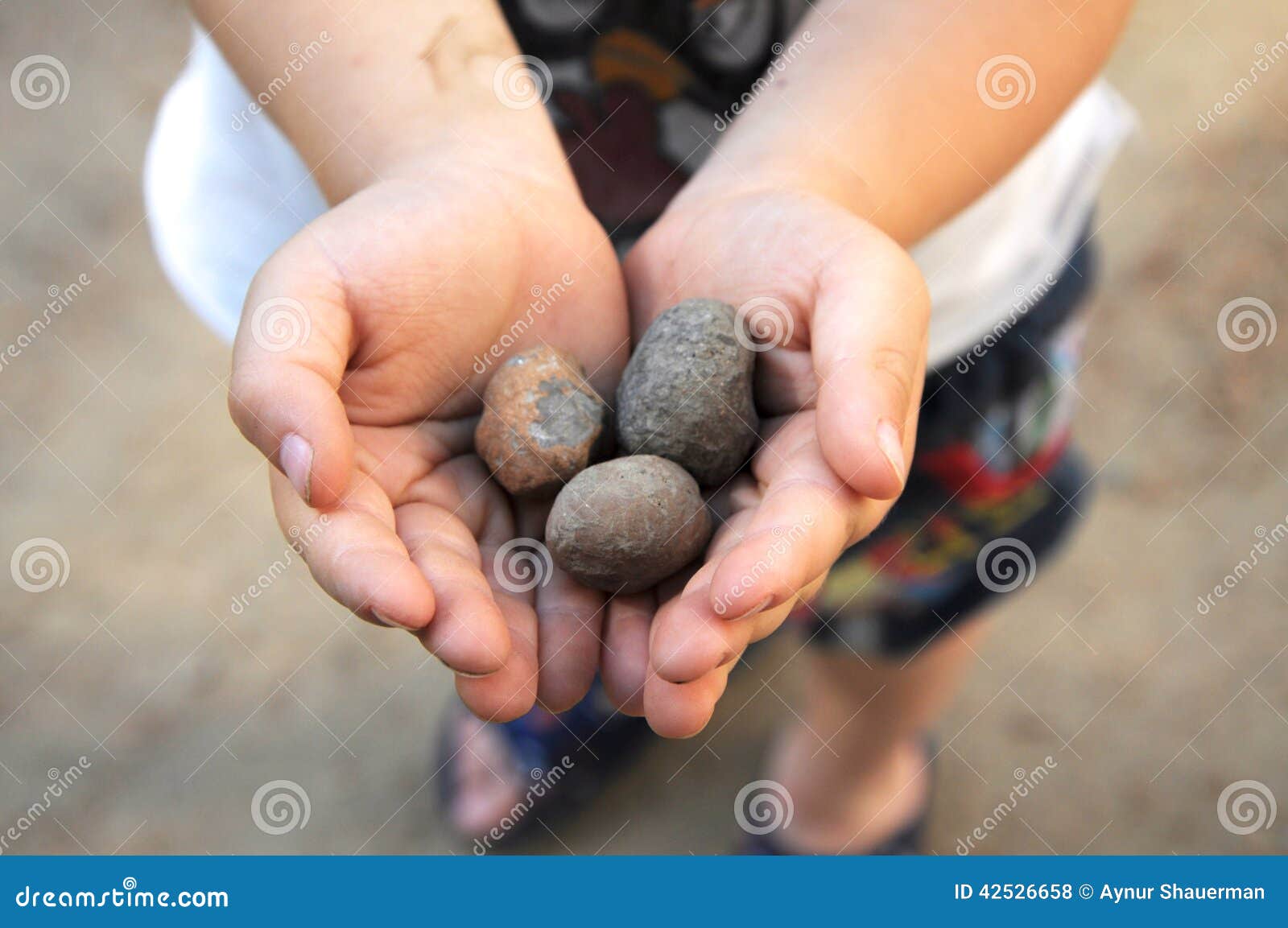 Stones in the Hands of a Child Stock Photo - Image of trio, summer ...