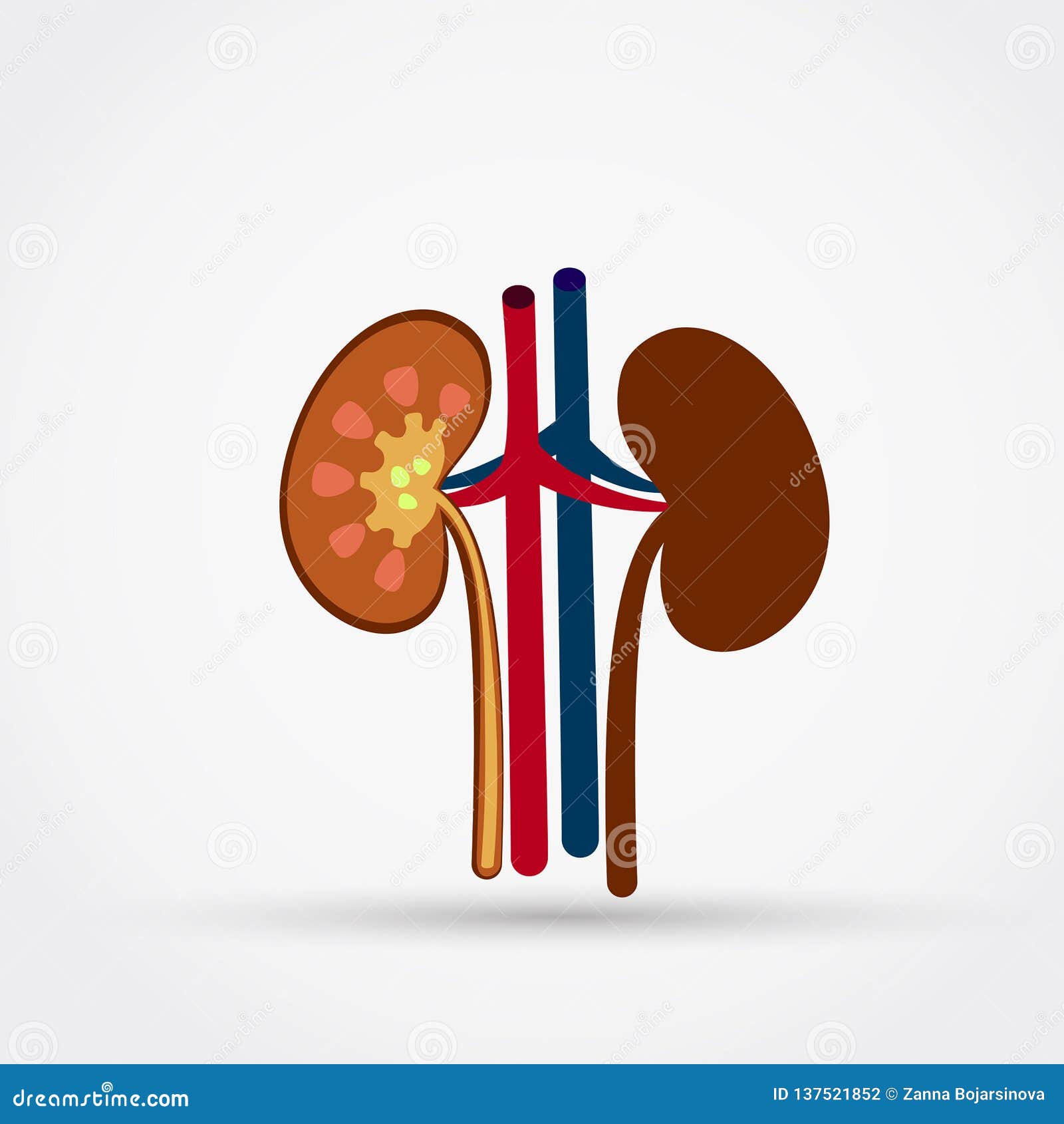 Stones in the Kidney Flat Design Icon Stock Vector - Illustration of ...