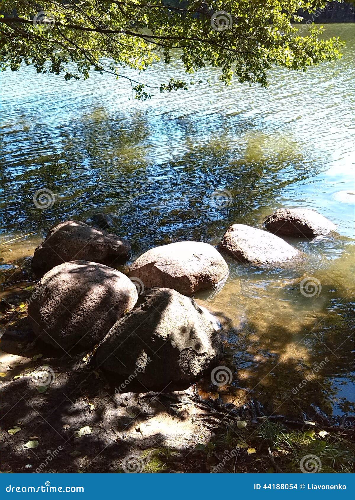 Stones on the lake. editorial stock image. Image of trees - 44188054