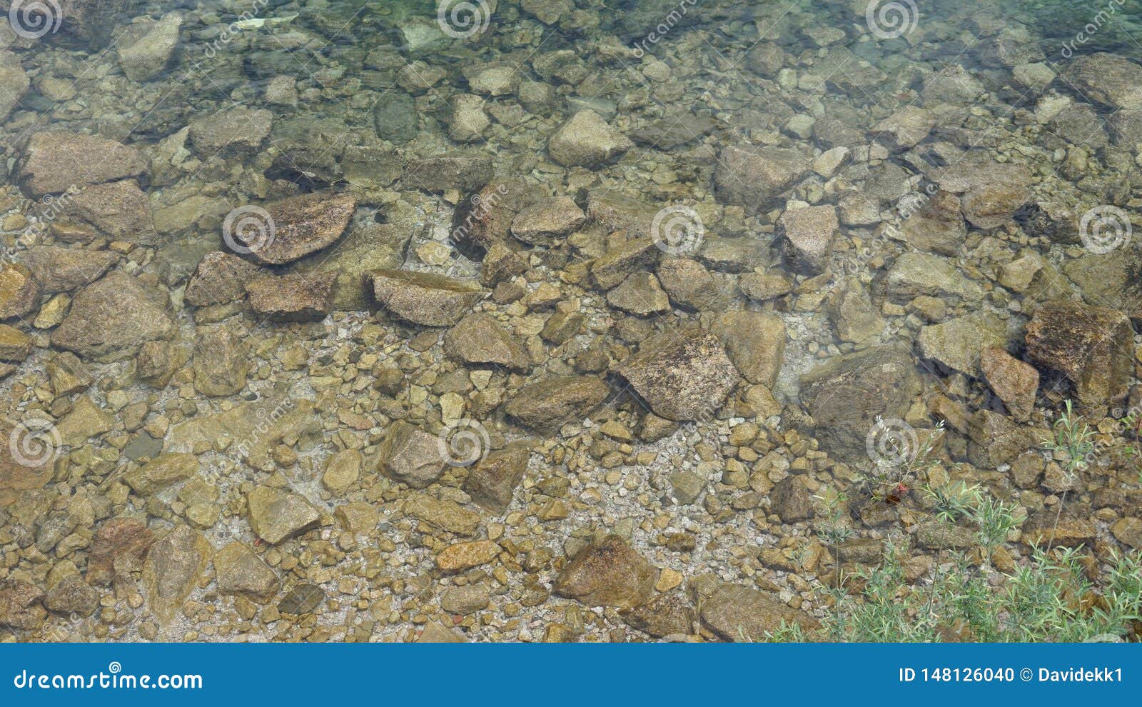 Stones in the lake water stock photo. Image of fresh - 148126040
