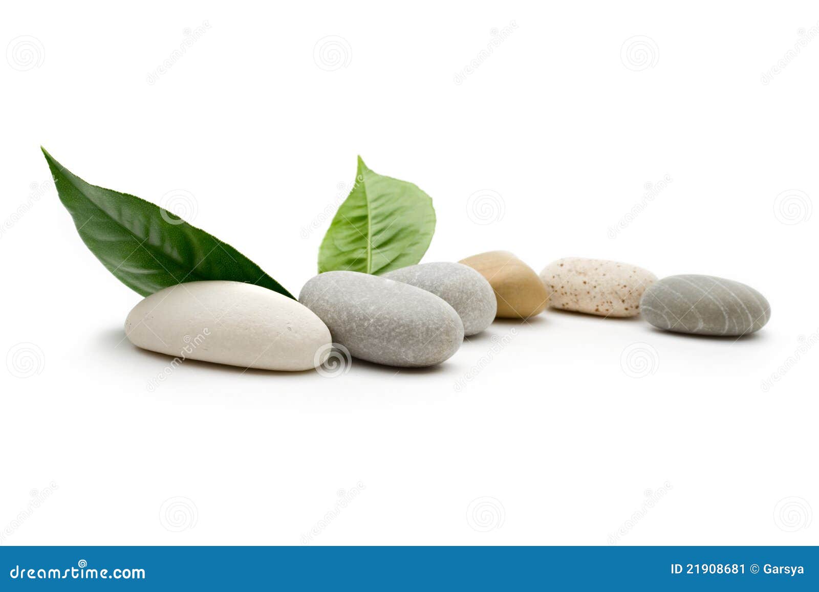 Stones and leaves stock image. Image of aromatic, remedy - 21908681