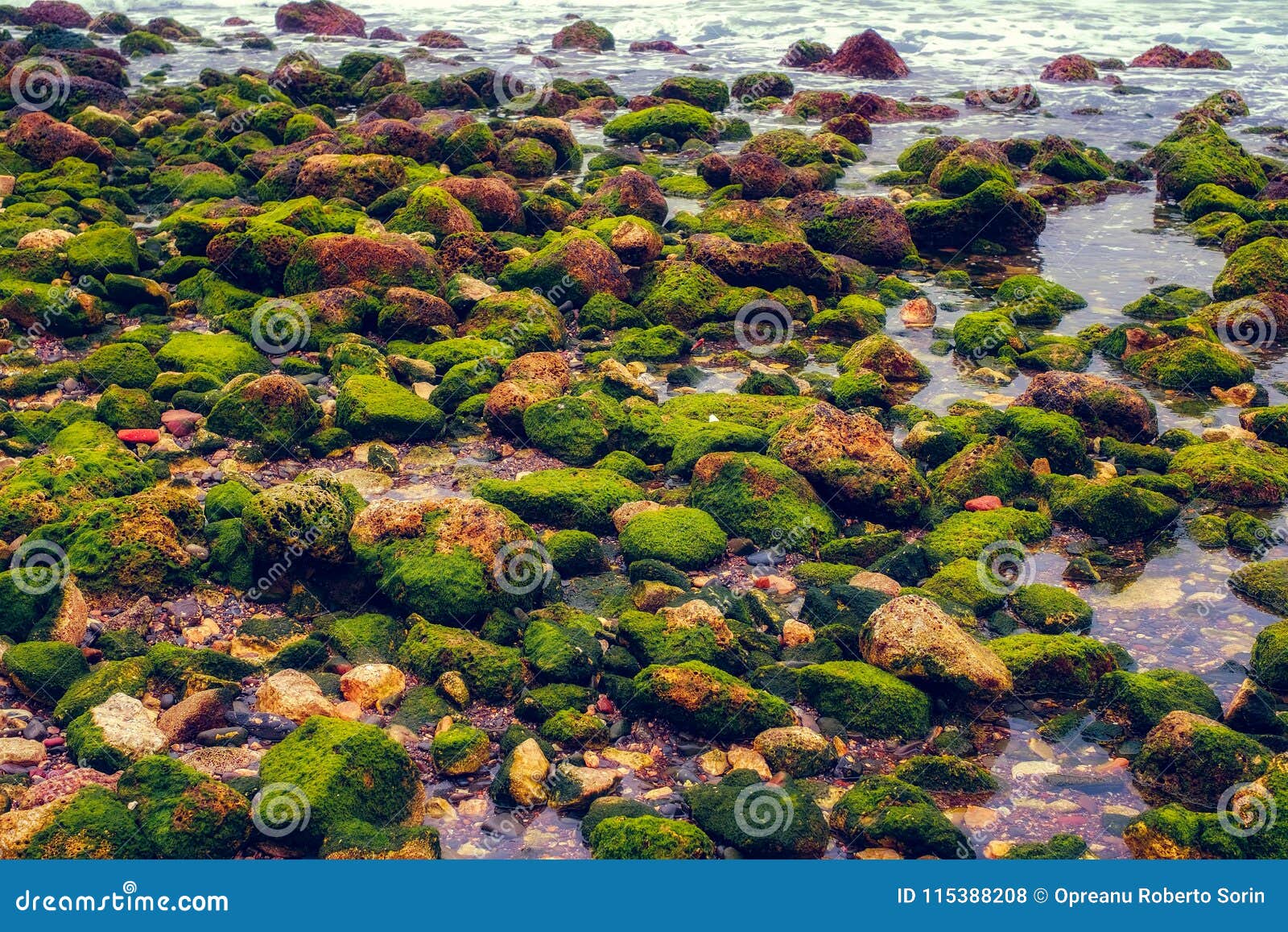 Stones with Moss on the Beach Stock Photo - Image of rock, clouds ...