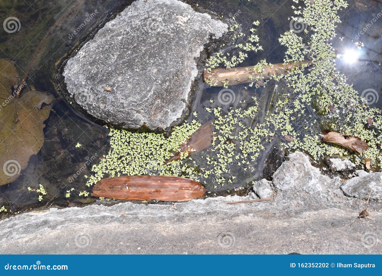 Stones and Moss in the Water Stock Photo - Image of abstract, moisture ...