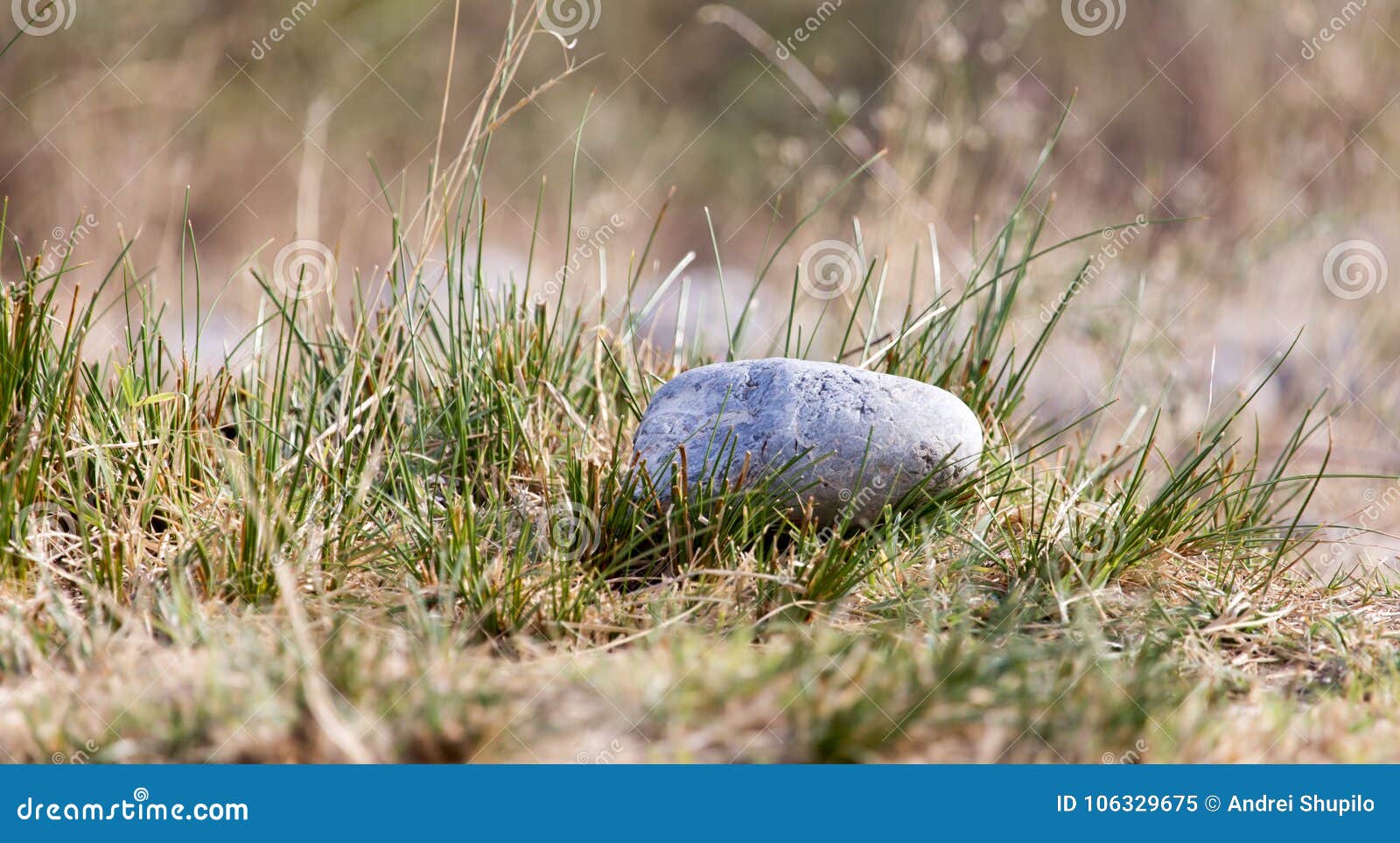 Stones in nature stock image. Image of stone, surface - 106329675