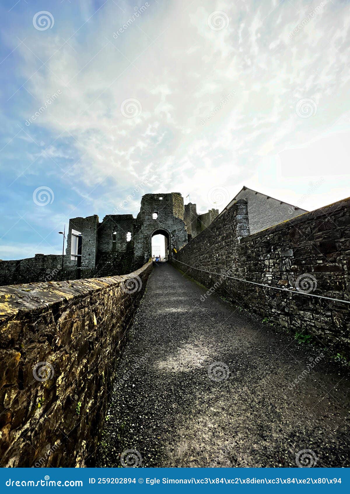 Trim Castle stock photo. Image of stones, ruins, trim - 259202894