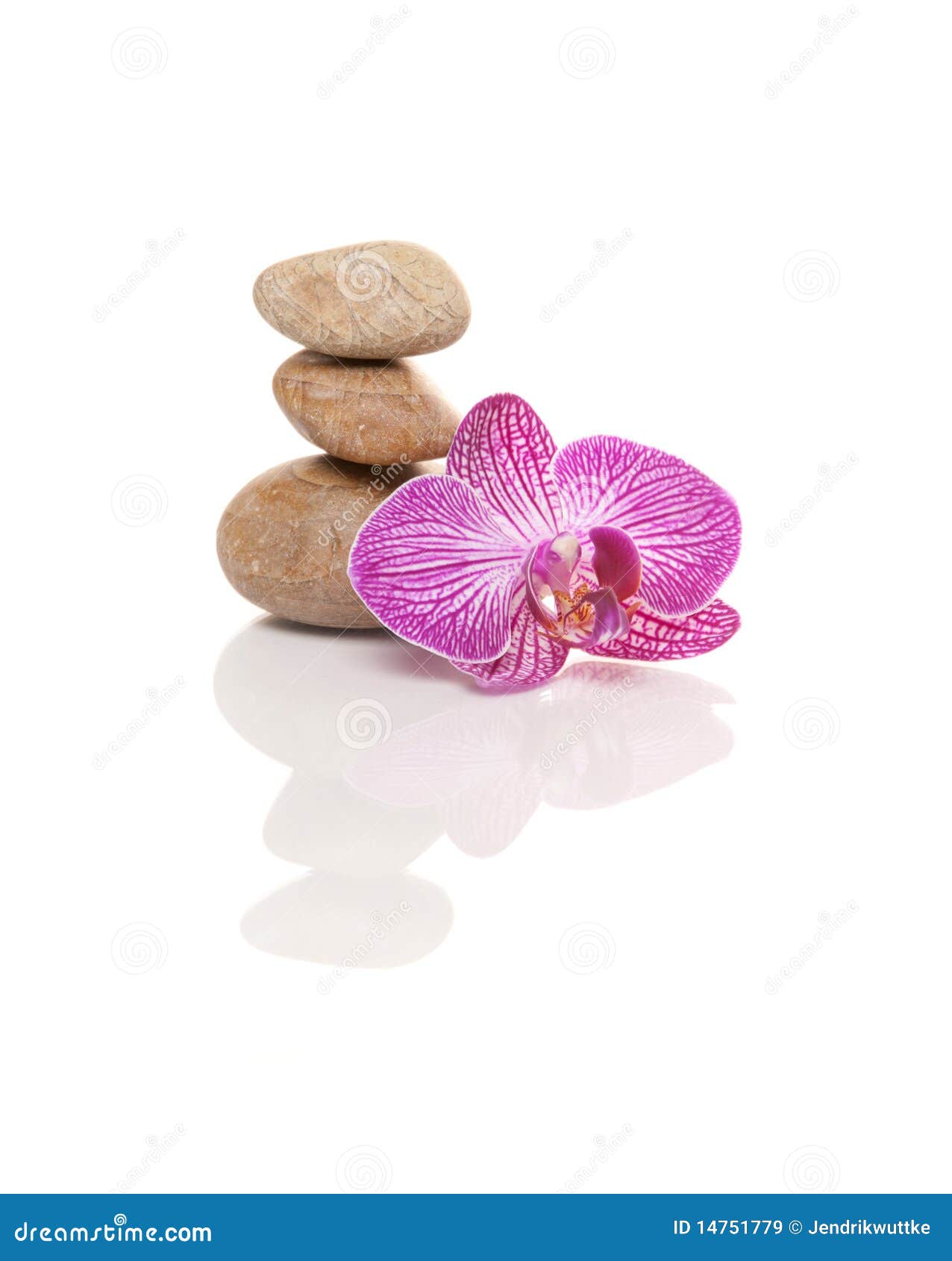 Stones and Orchid stock image. Image of romanticism, decoration - 14751779