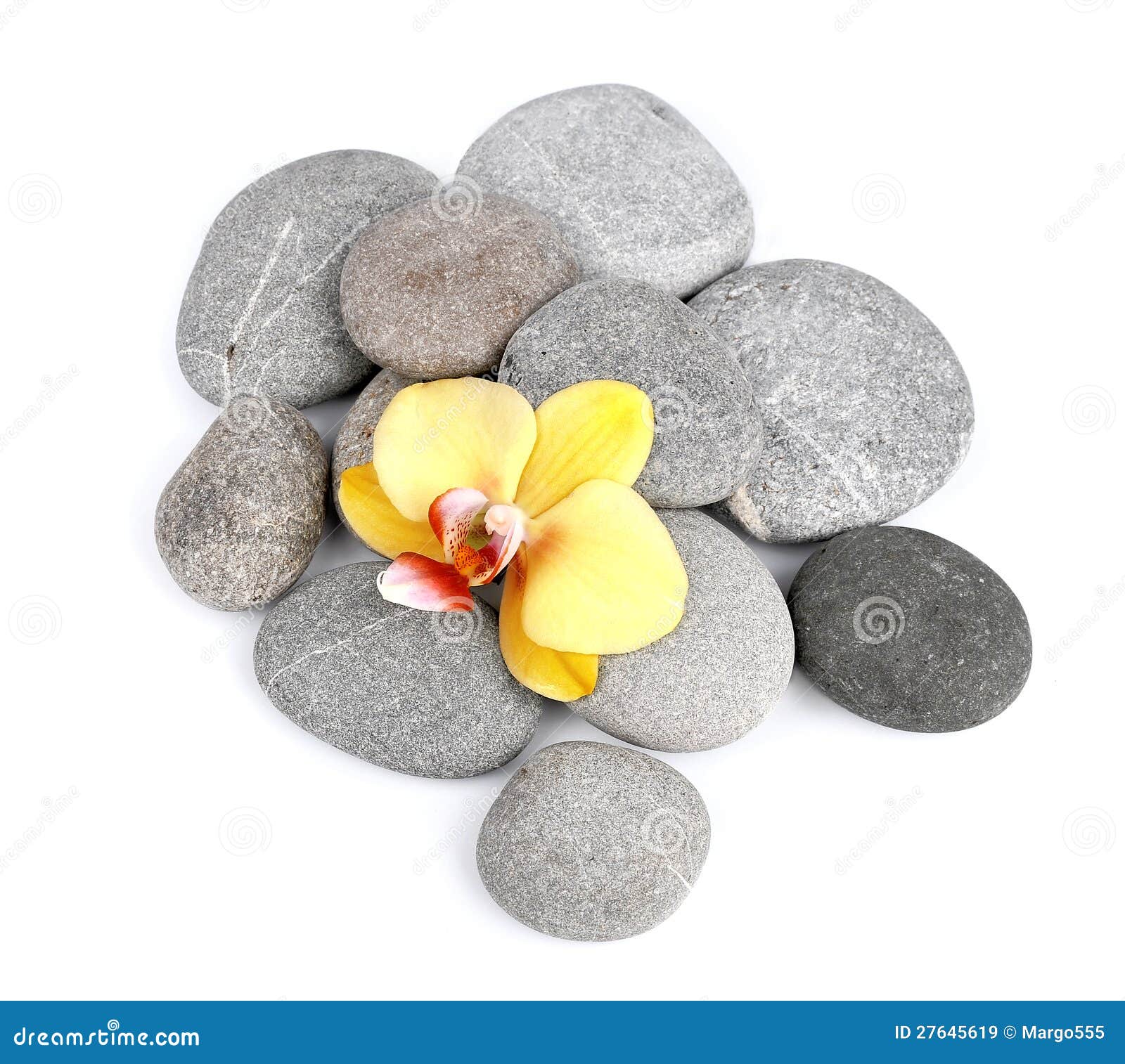 Stones with orchid stock image. Image of frame, leaf - 27645619