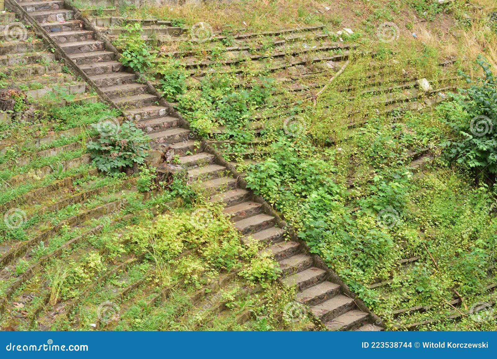 Stones and Overgrown Stairs among the Grass. Summer. Day Stock Photo ...