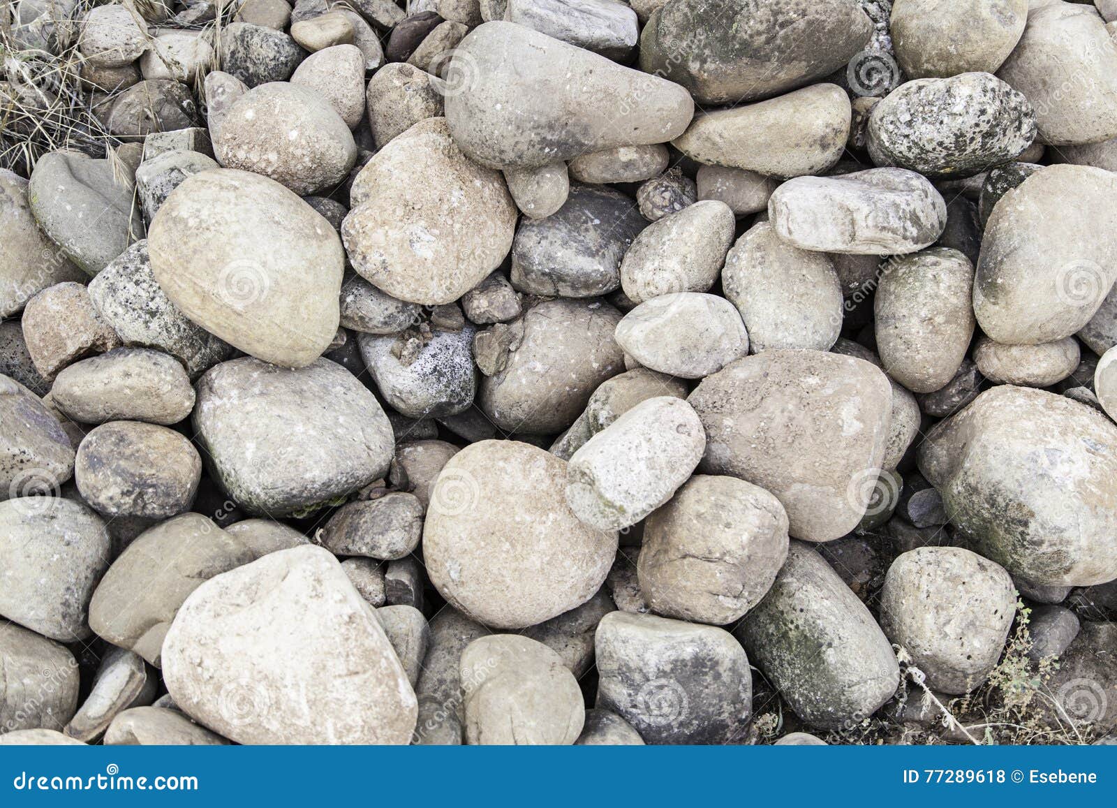Stones on a path stock photo. Image of natural, garden - 77289618