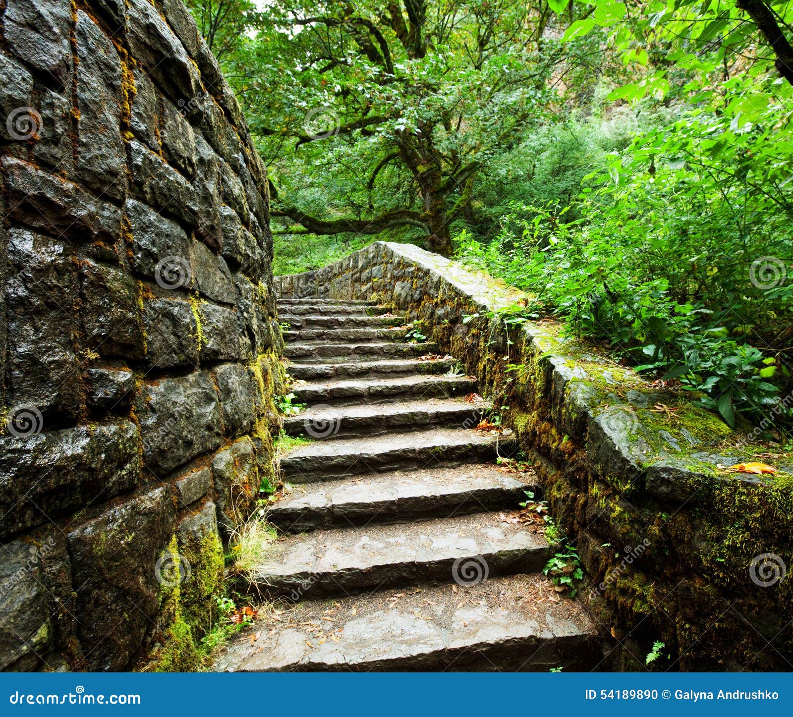Stones path stock photo. Image of staircase, footpath - 54189890