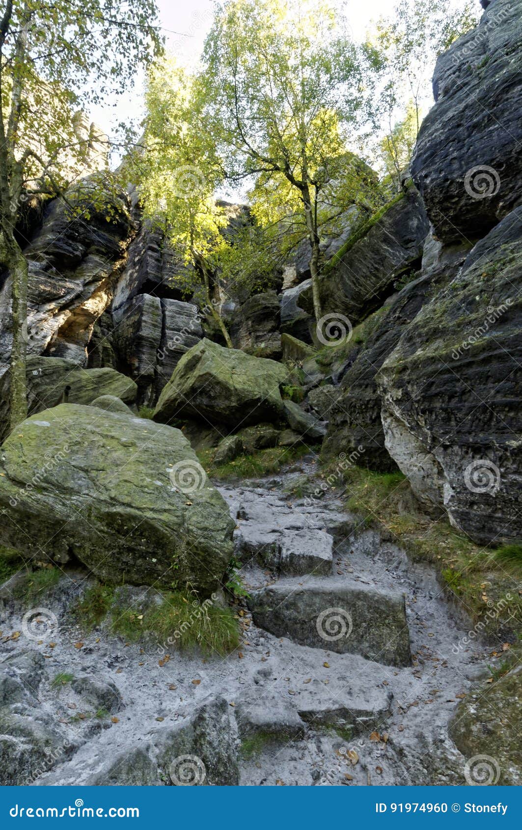 Stones in the Path of the Rock Stock Photo - Image of plant, algae ...