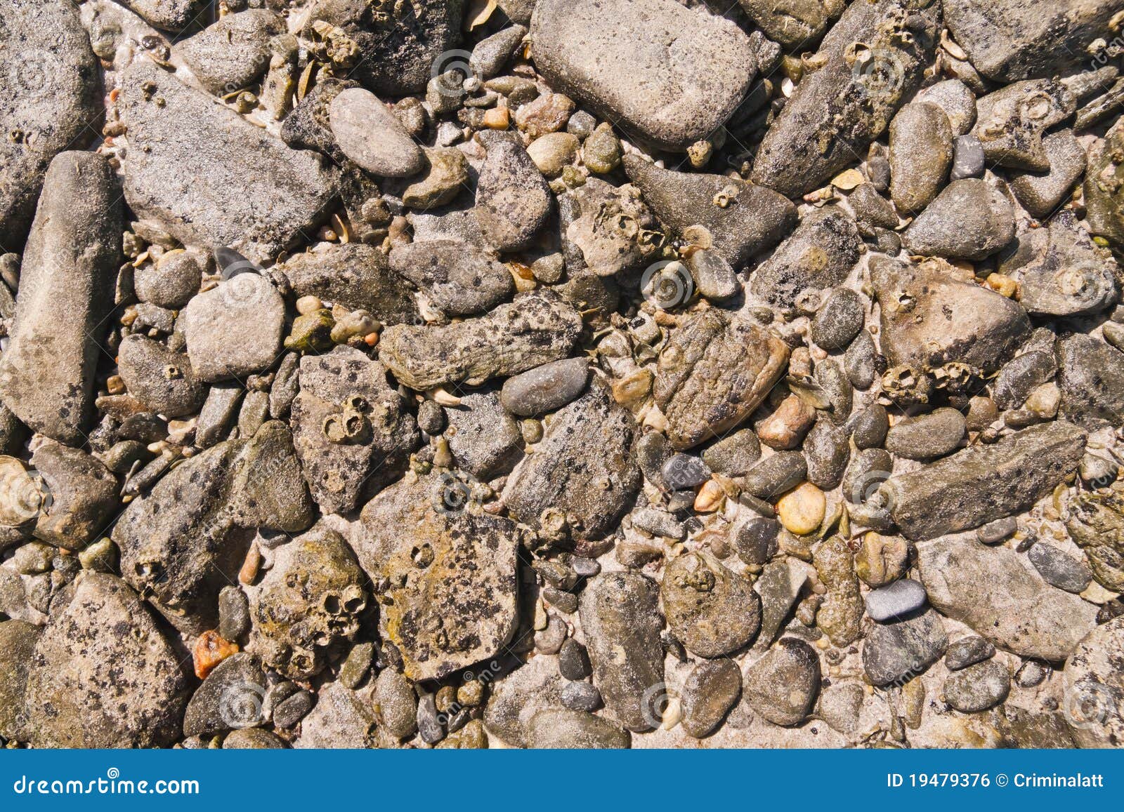 Stones Pattern Texture on the Beach Stock Photo - Image of natural ...