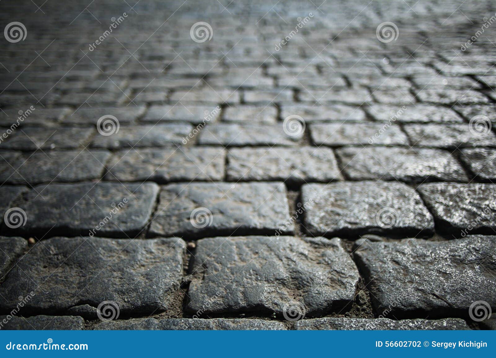 Stones paving stock photo. Image of cobblestone, seamless - 56602702