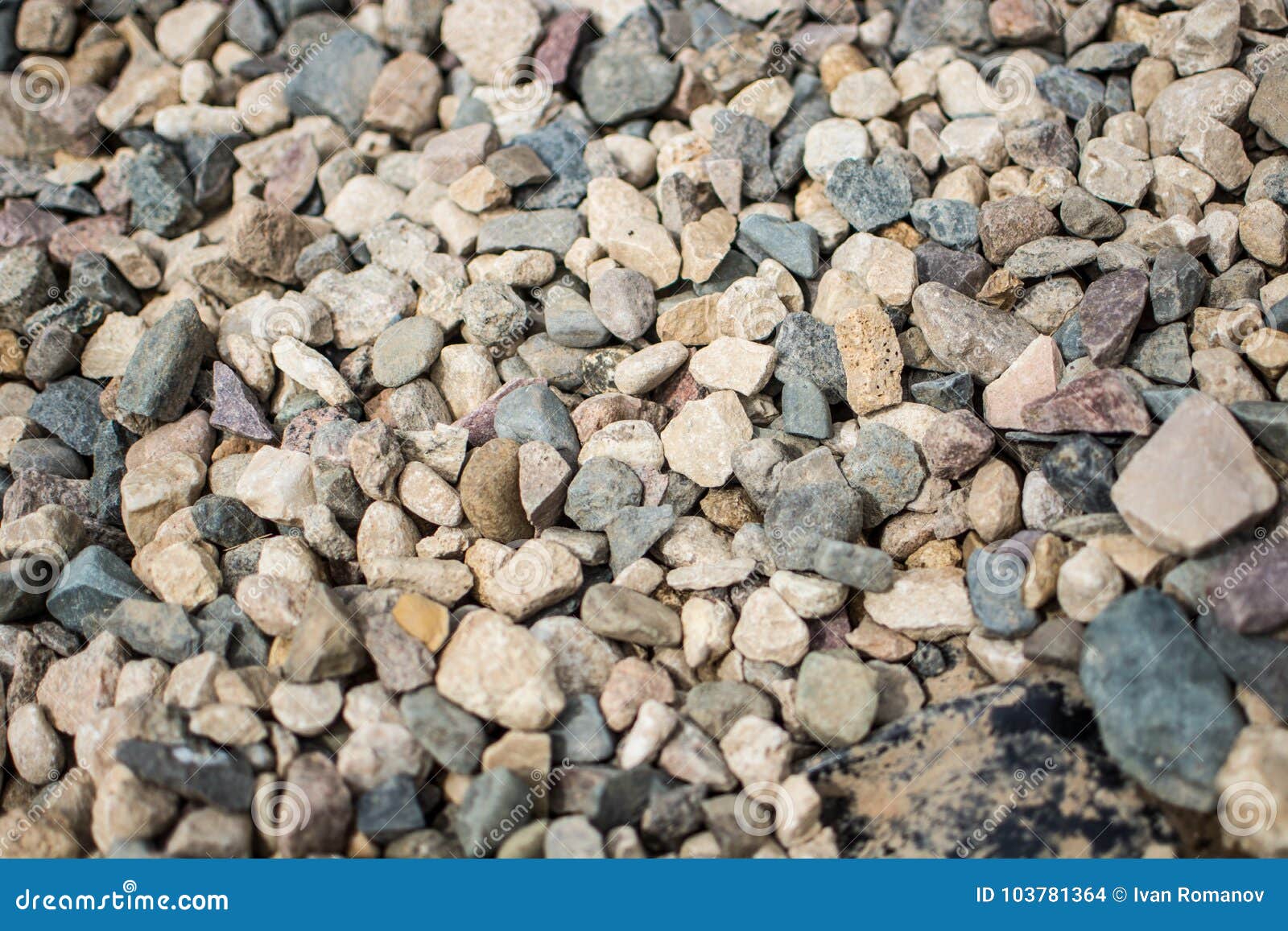 Stones by the pond stock photo. Image of river, shiny - 103781364