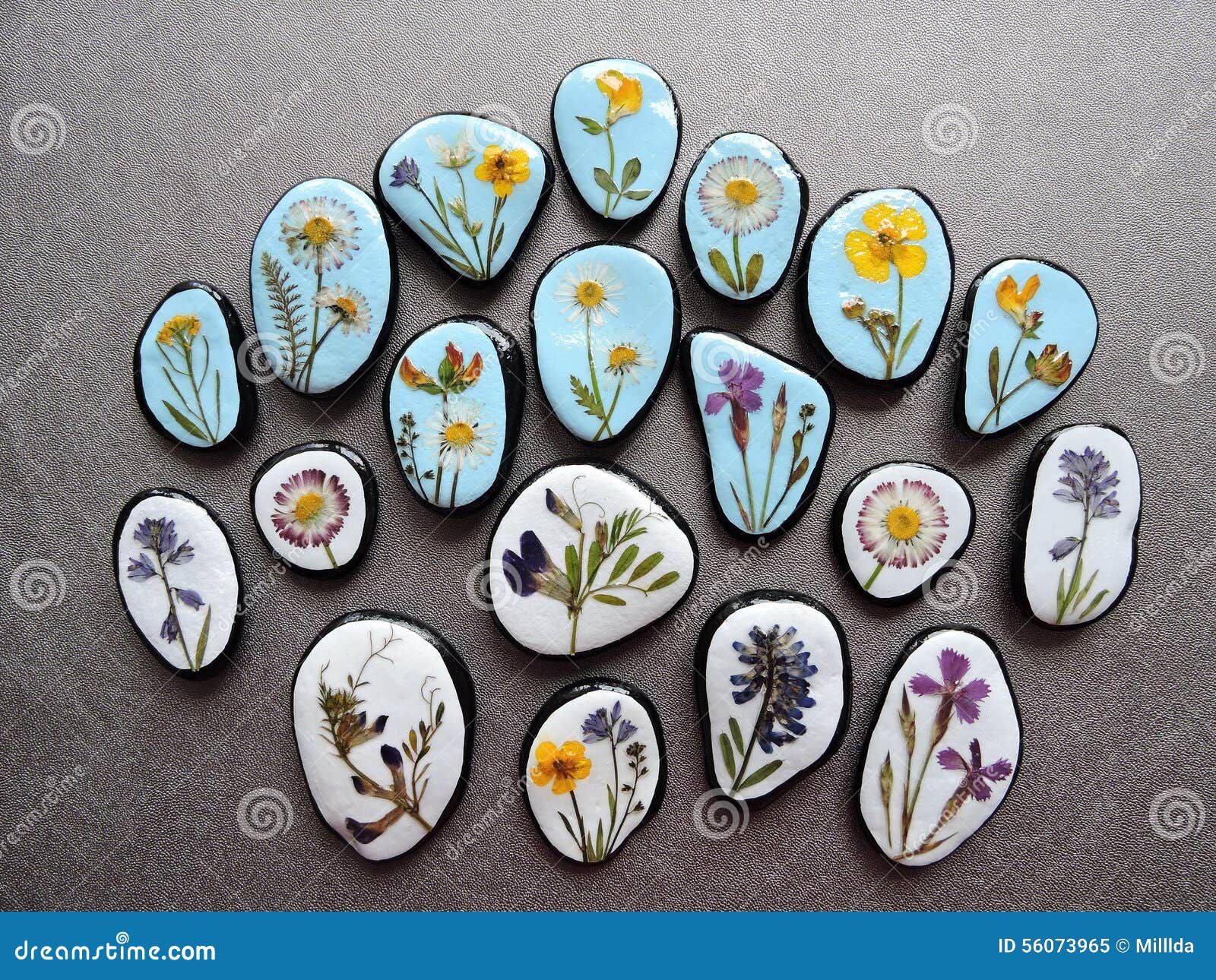 Stones with Pressed Flowers Stock Illustration - Illustration of ...