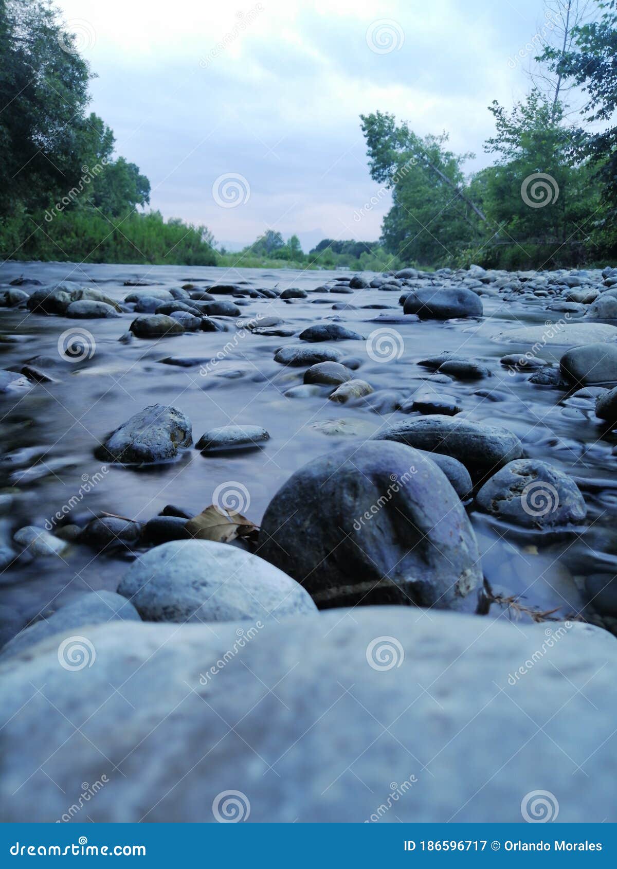 Stones in the river stock image. Image of creek, stream - 186596717