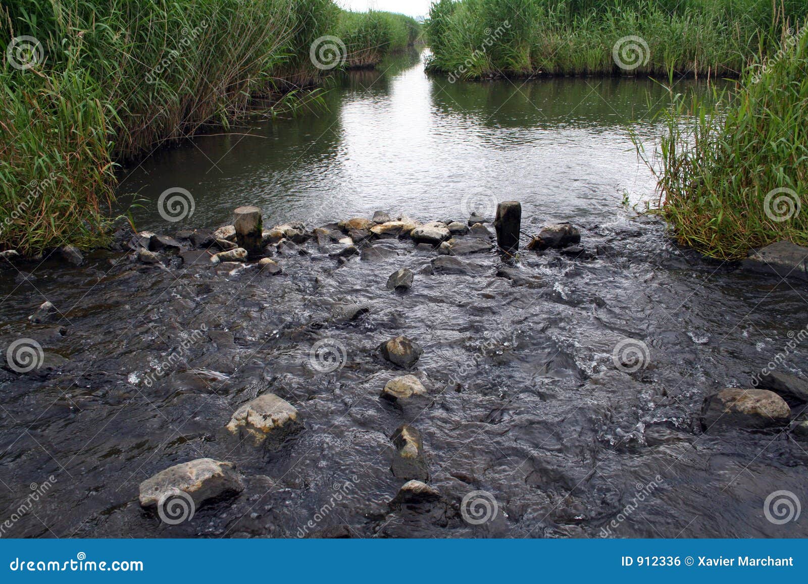 Stones in a river stock photo. Image of nature, calm, dark - 912336