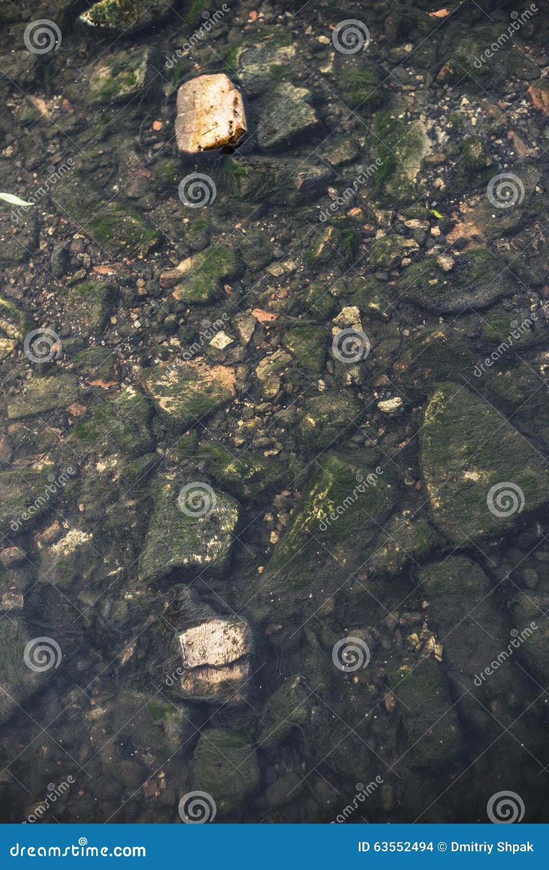 Stones on the river bottom stock photo. Image of abstract - 63552494
