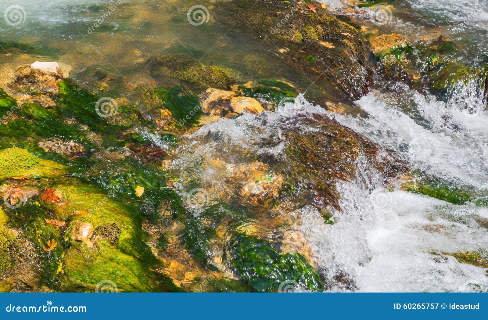 Stones in the River Water Close Up View Stock Image - Image of ...