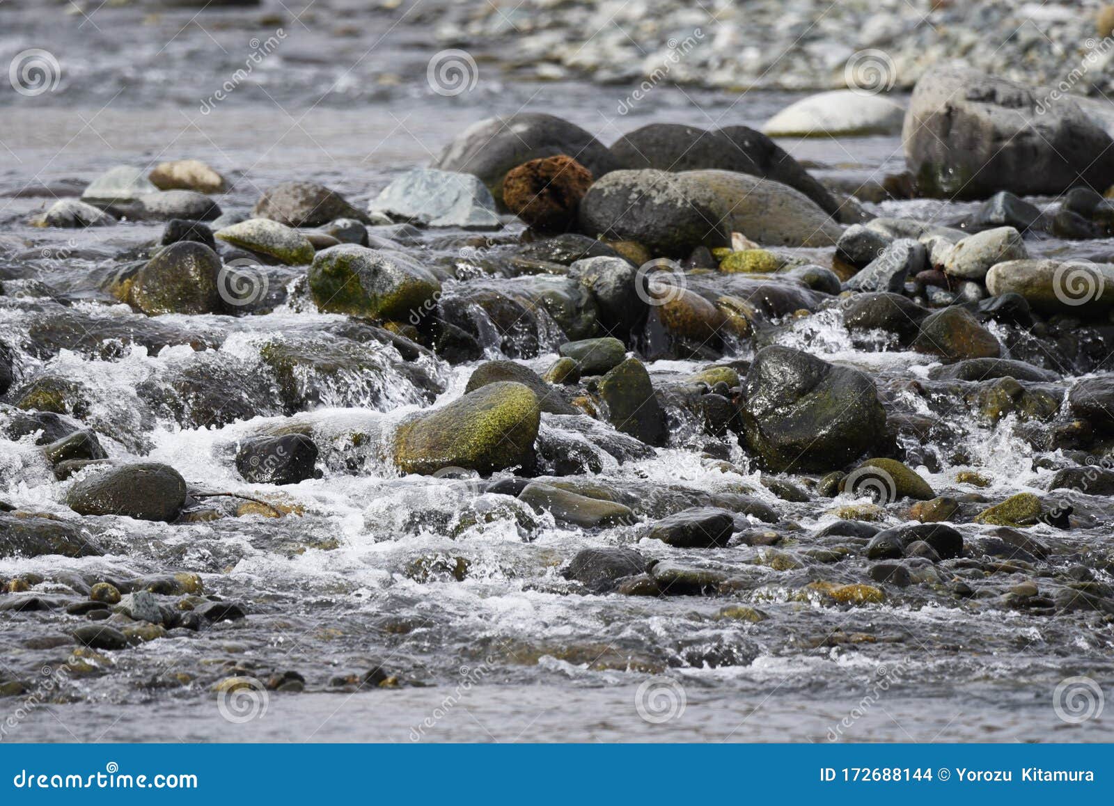 Stones on the riverbed stock photo. Image of riverbed - 172688144