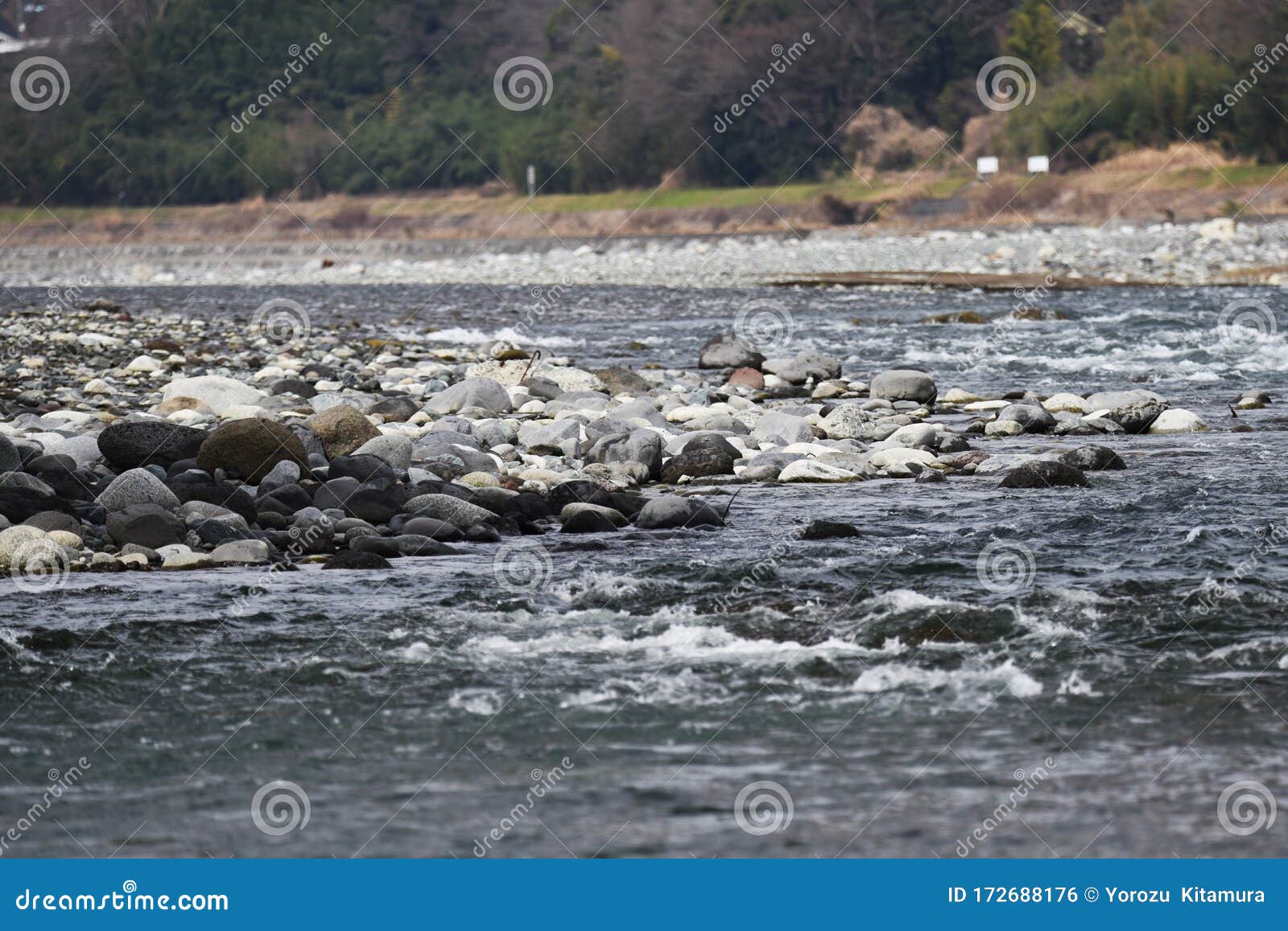 Stones on the riverbed stock photo. Image of detail - 172688176