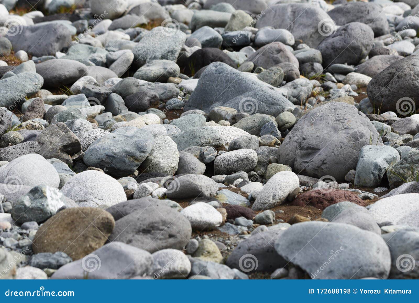 Stones on the riverbed stock photo. Image of grey, view - 172688198