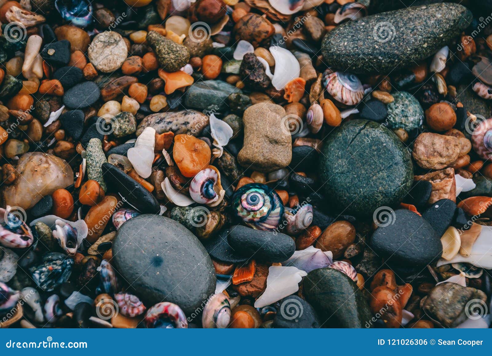 Stones, Rocks and Shells on a Beach Stock Photo - Image of vintage ...