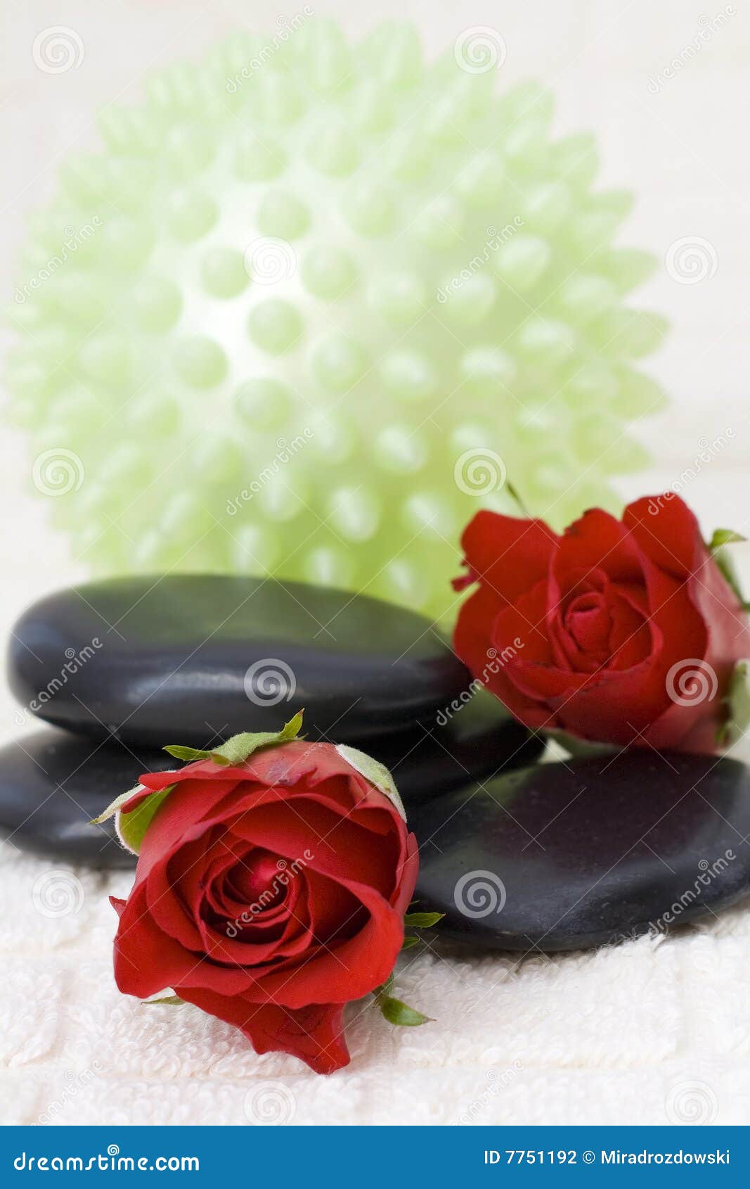 Stones, Rose and Massage Ball Stock Photo - Image of oriental, stem ...