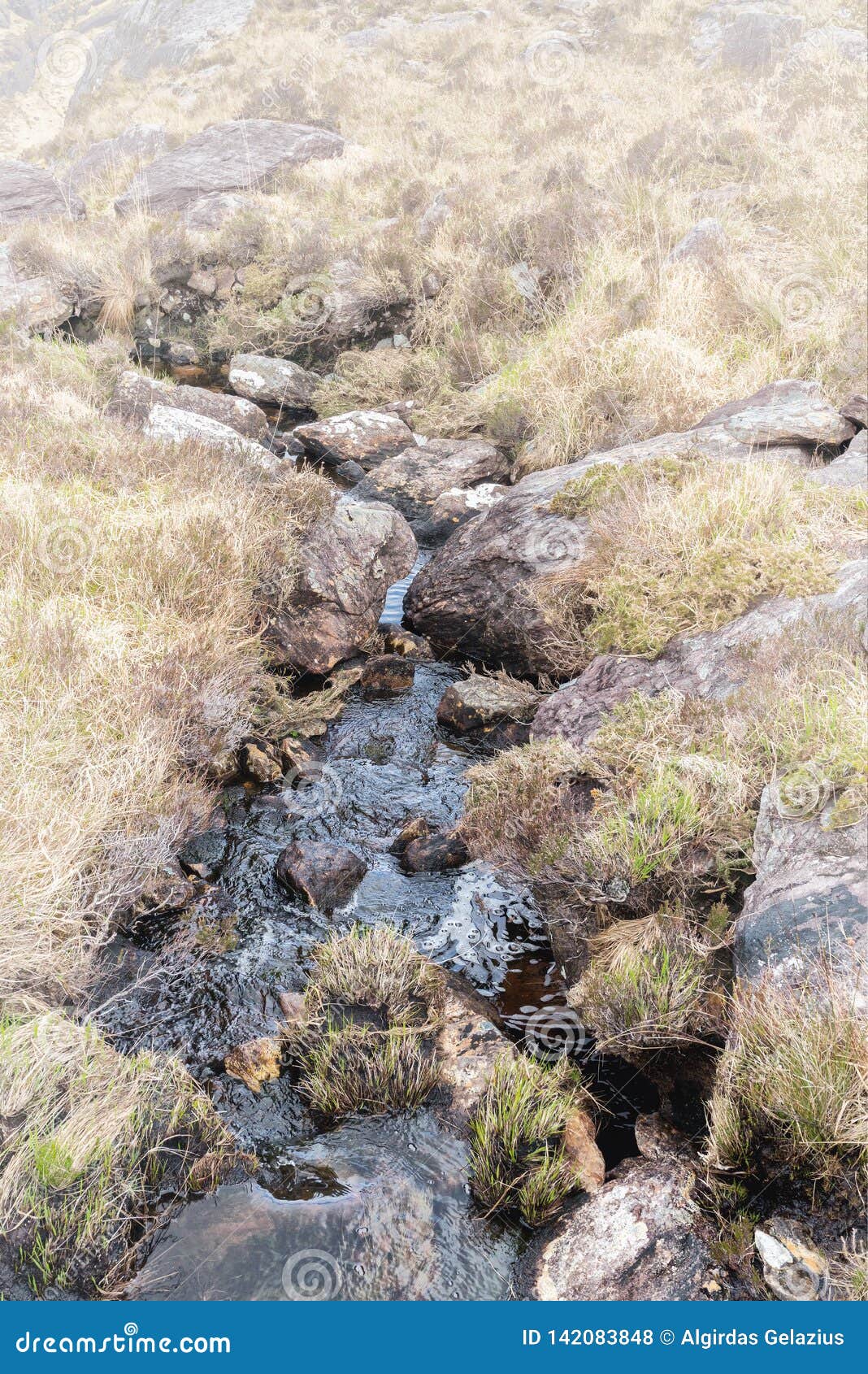 Stones in Running Water in a Mountain River Stream Stock Photo - Image ...