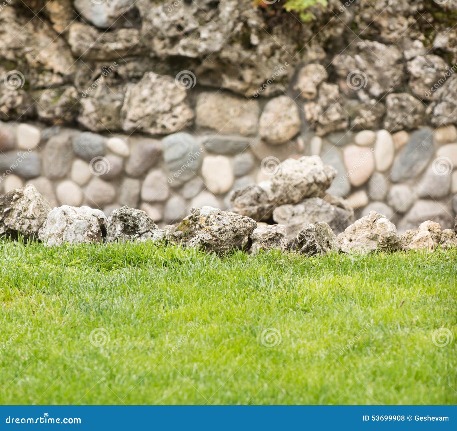 Stones and rye-grass stock photo. Image of land, green - 53699908