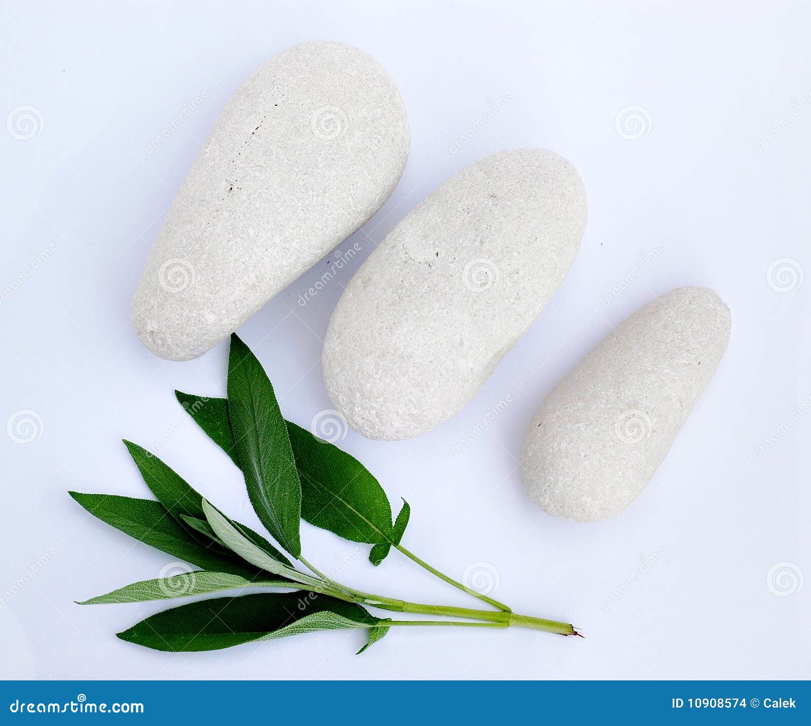 Stones and sage stock photo. Image of nature, ingredient - 10908574