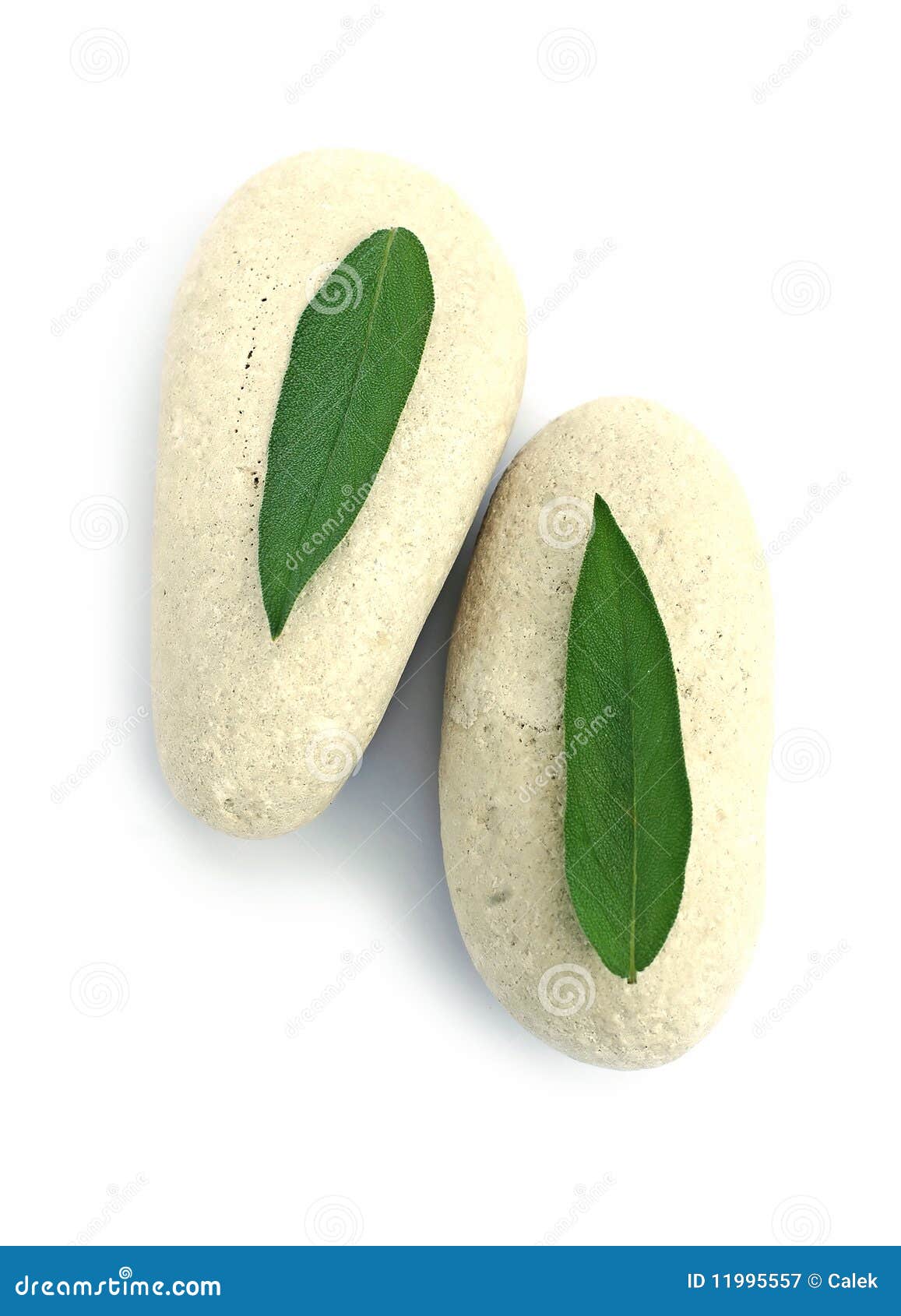 Stones and sage stock image. Image of herbal, rock, background - 11995557