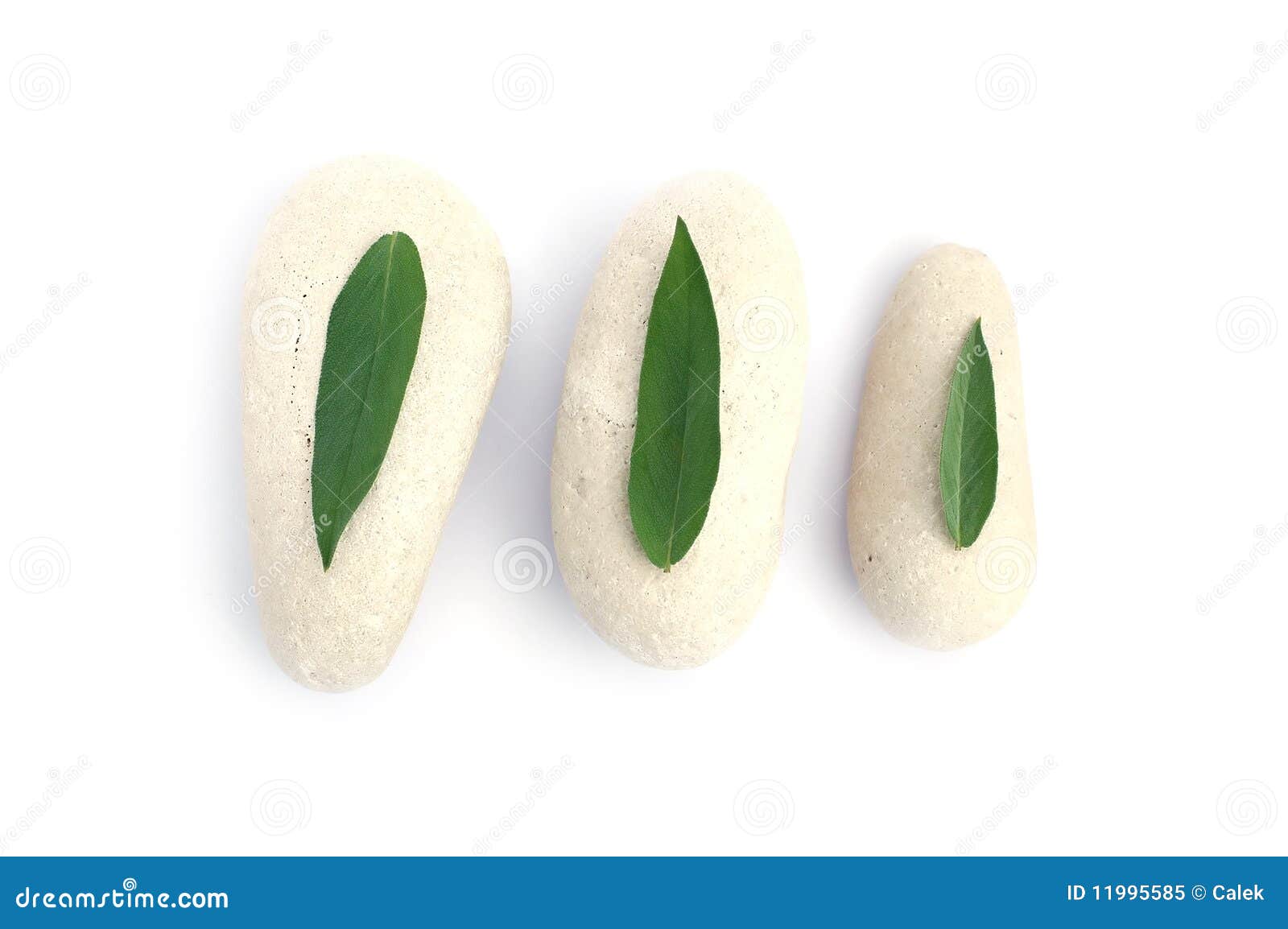 Stones and sage stock image. Image of grey, aroma, path - 11995585