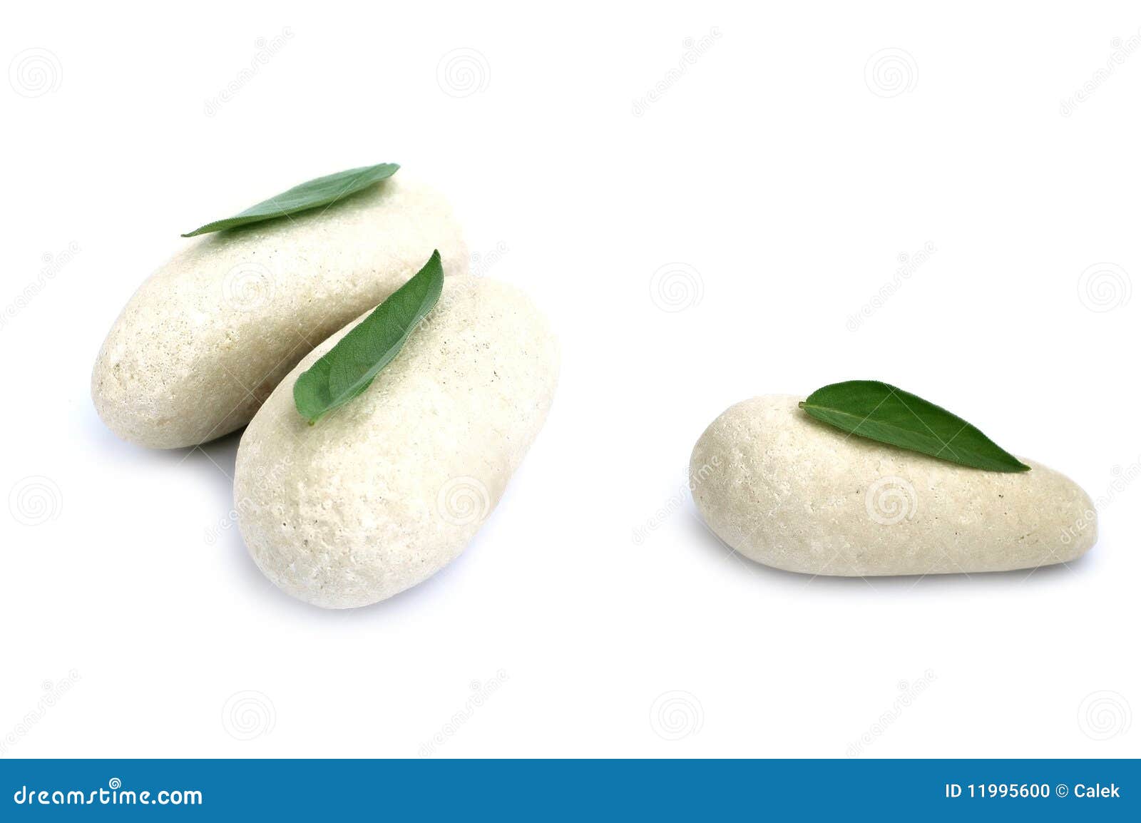 Stones and sage stock photo. Image of rock, object, peasant - 11995600