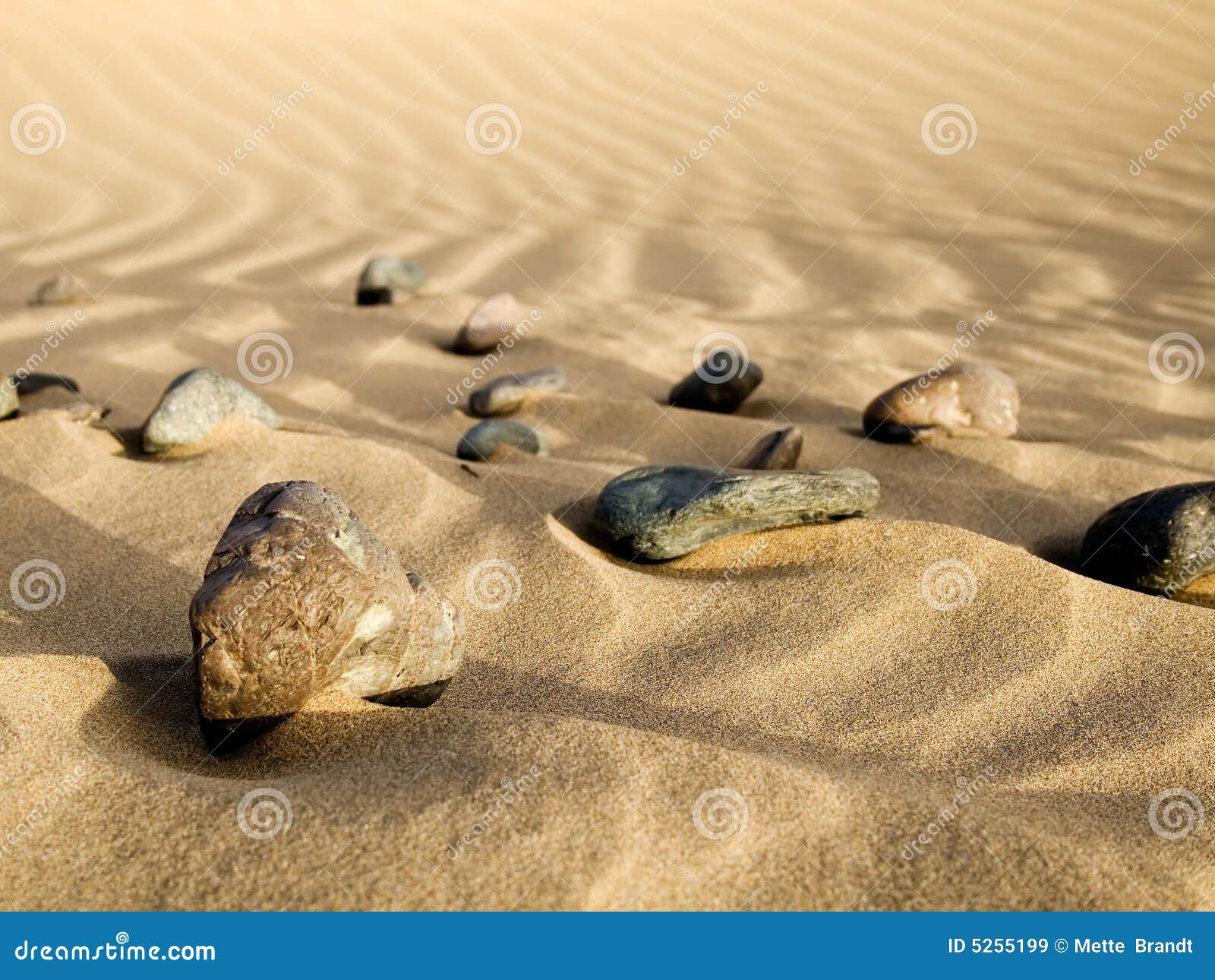 Stones in the sand stock image. Image of yellow, round - 5255199