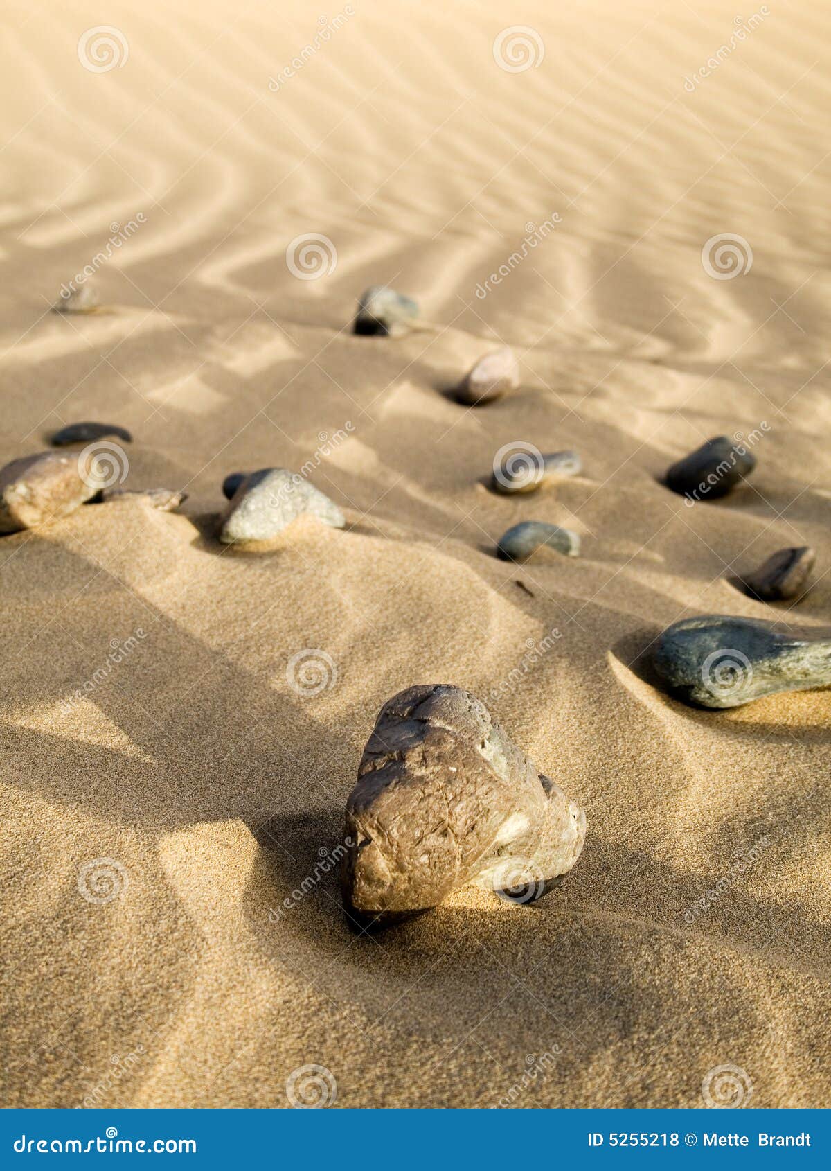 Stones in the sand stock photo. Image of island, round - 5255218