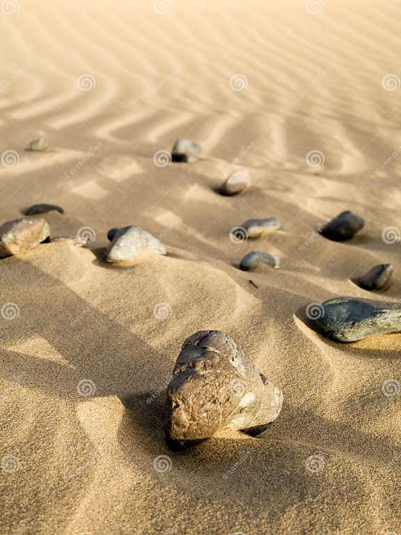Stones in the sand stock photo. Image of island, round - 5255218