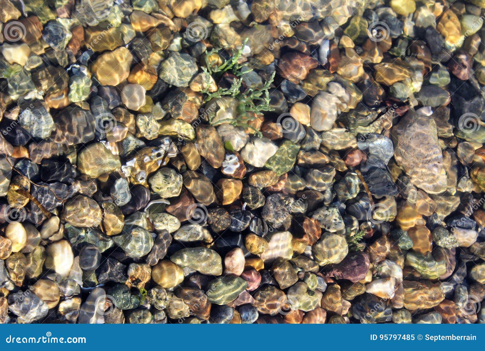 Stones on Sea Floor Under the Wave Stock Image - Image of movement ...