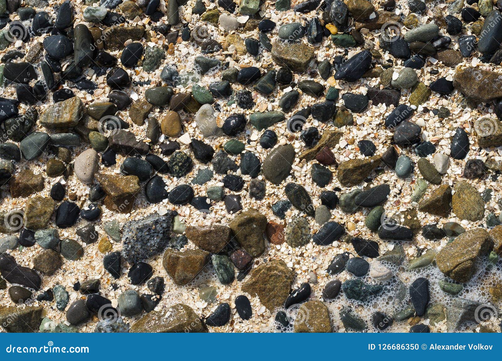 Stones in Sea Foam in Shell Rock Stock Photo - Image of shell ...