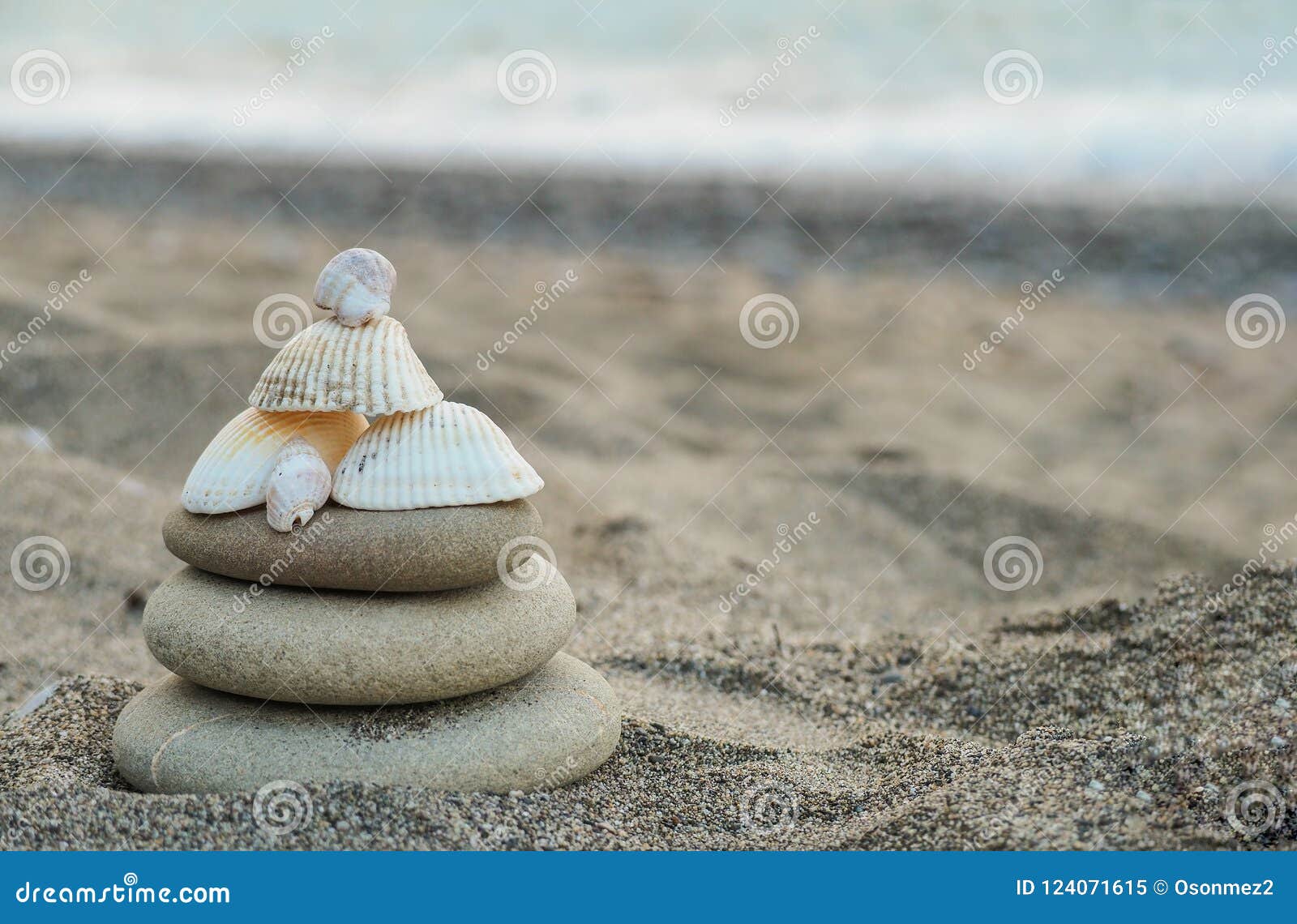 Stones and Sea Shells on Sand on the Beach. Stock Image - Image of rock ...