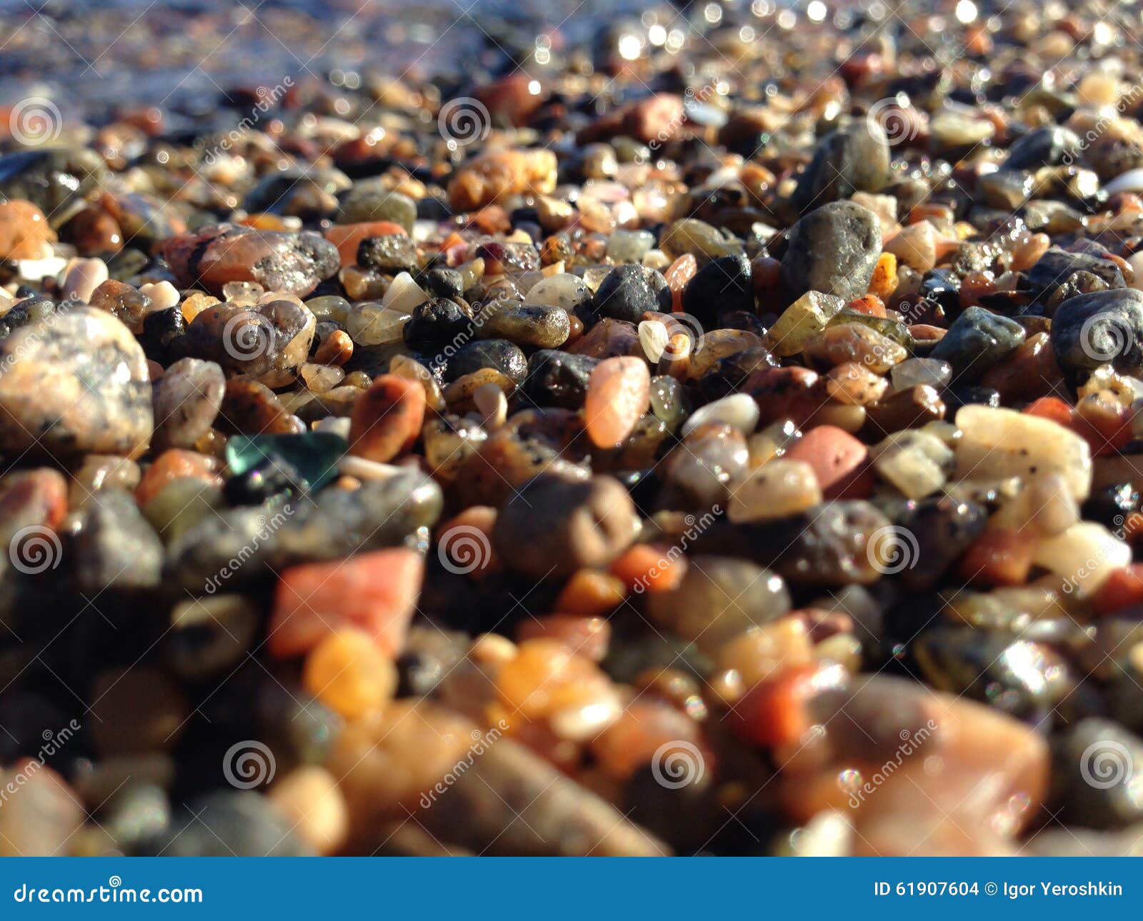 Stones stock photo. Image of stones, autumn, stone, beach - 61907604
