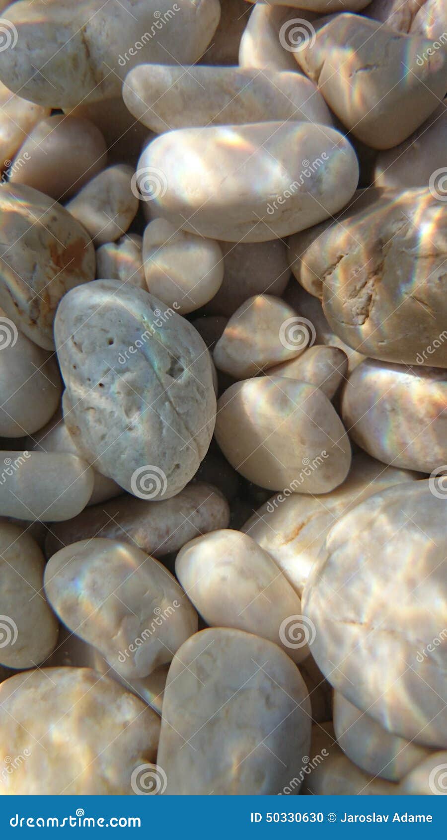 Stones in the sea stock photo. Image of water, sunny - 50330630
