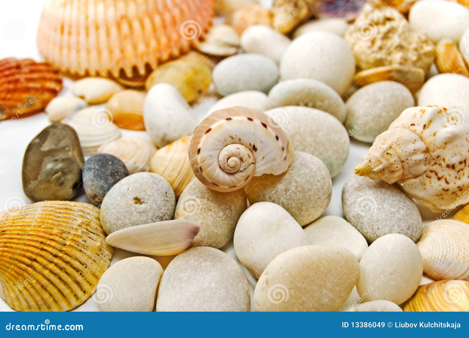 Stones and seashells. stock image. Image of beauty, horizontal - 13386049